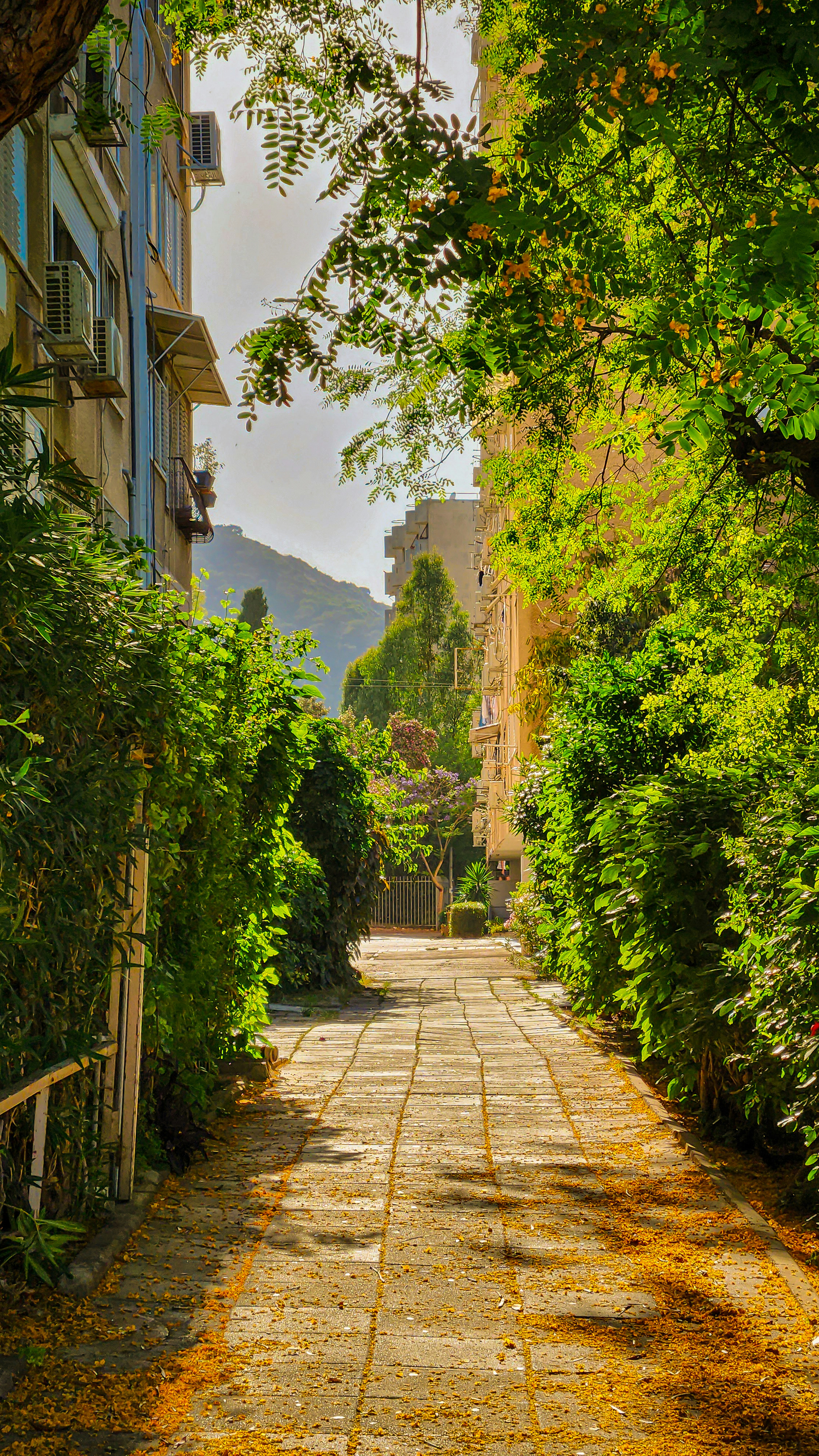 Sunlit Alleyway Corridor Leading to Distant Hills