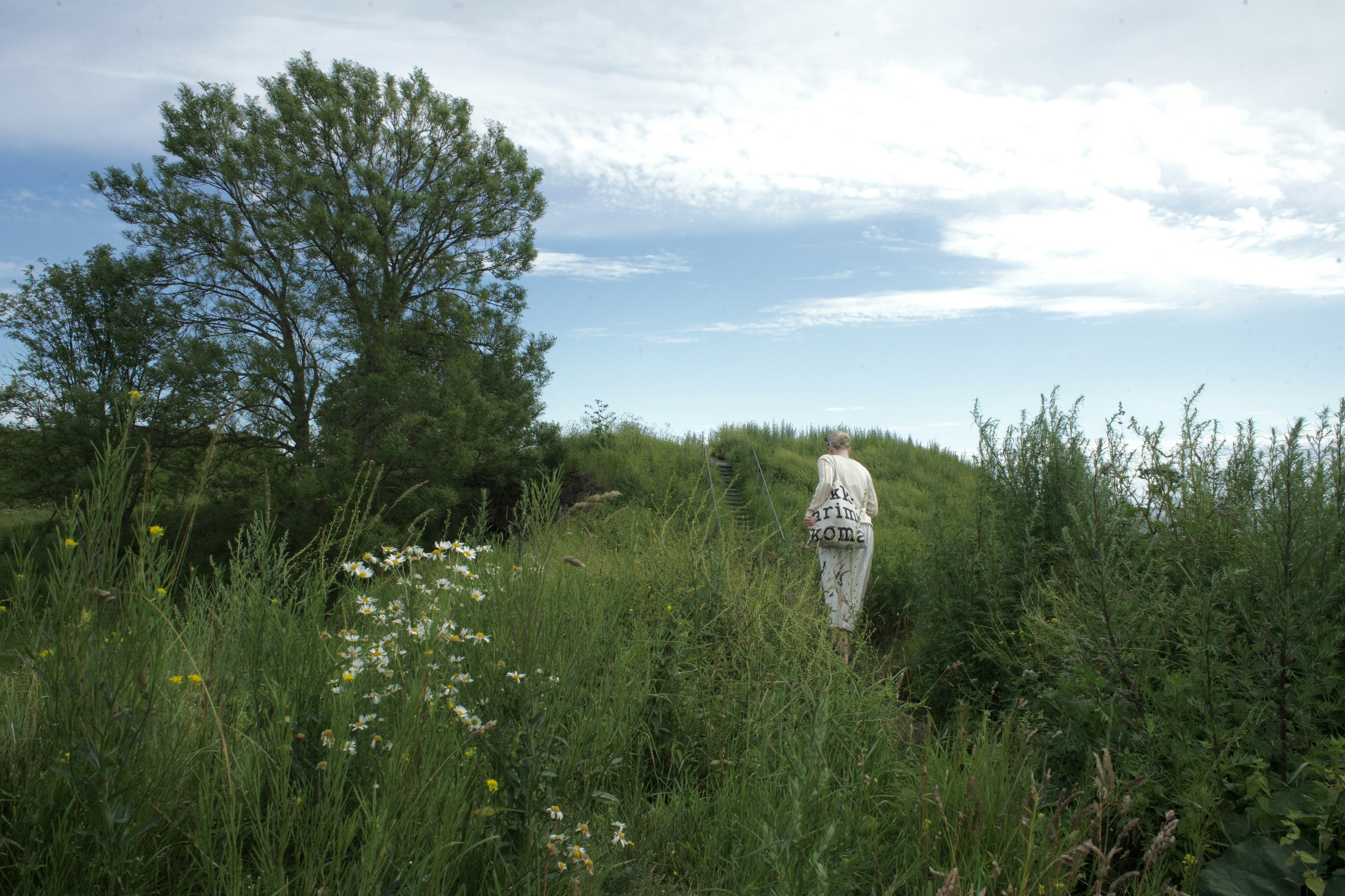 A Quiet Walk Through Wild Meadow