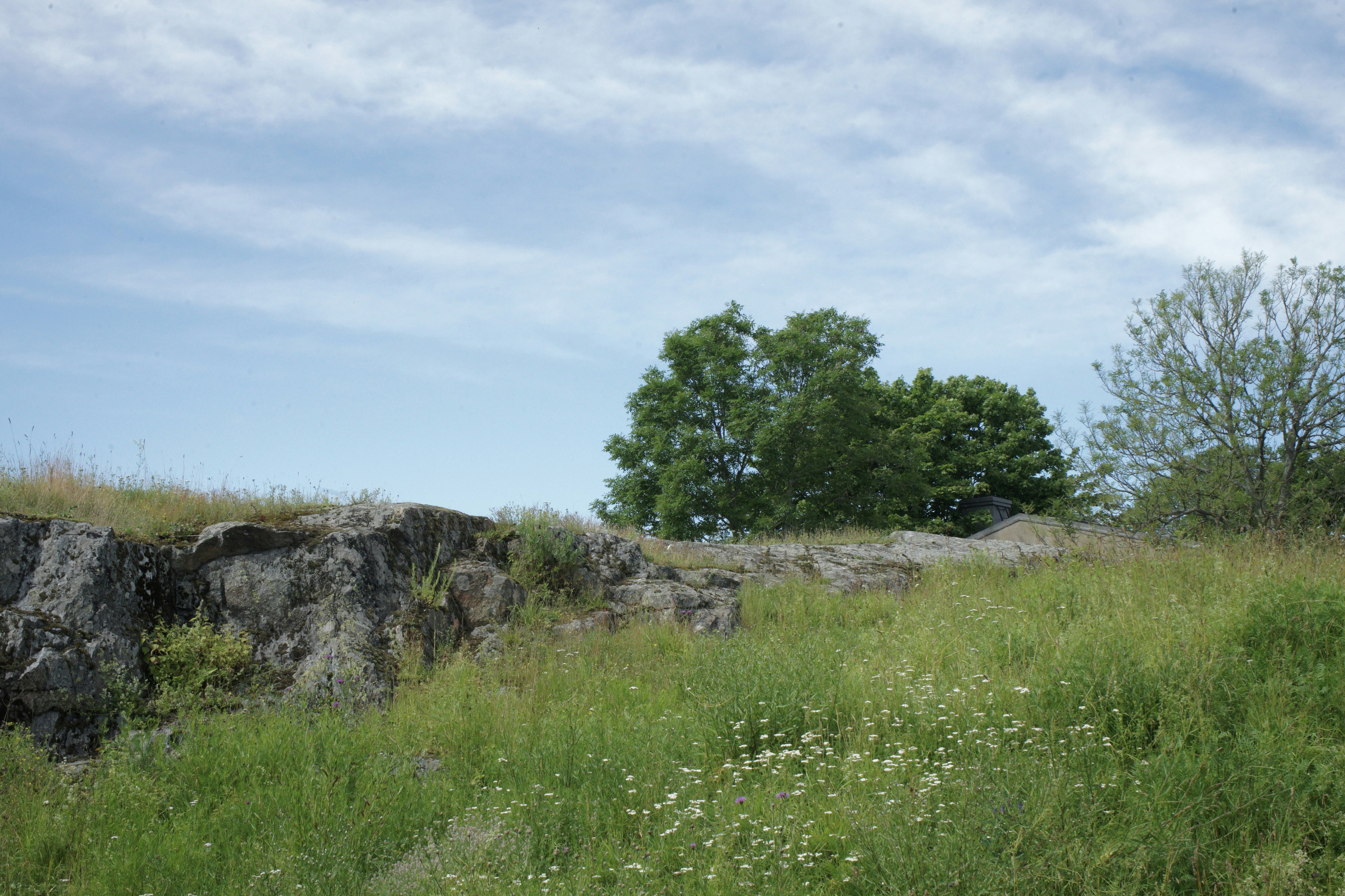 Sunny Meadow Overlooking the Stone Ridge