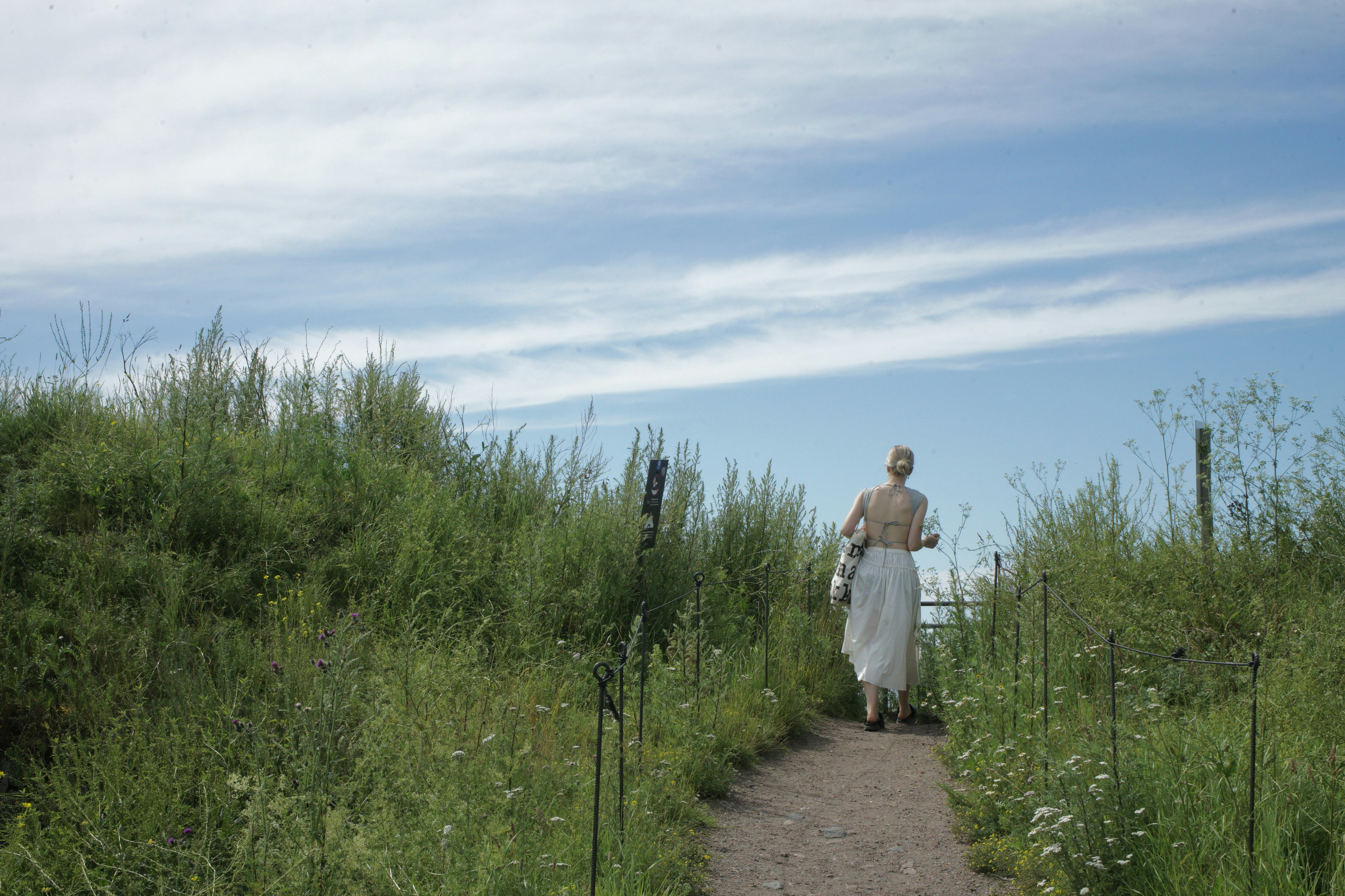 Path to Quiet Orchard: A Woman in White Walking a Dappled Trail