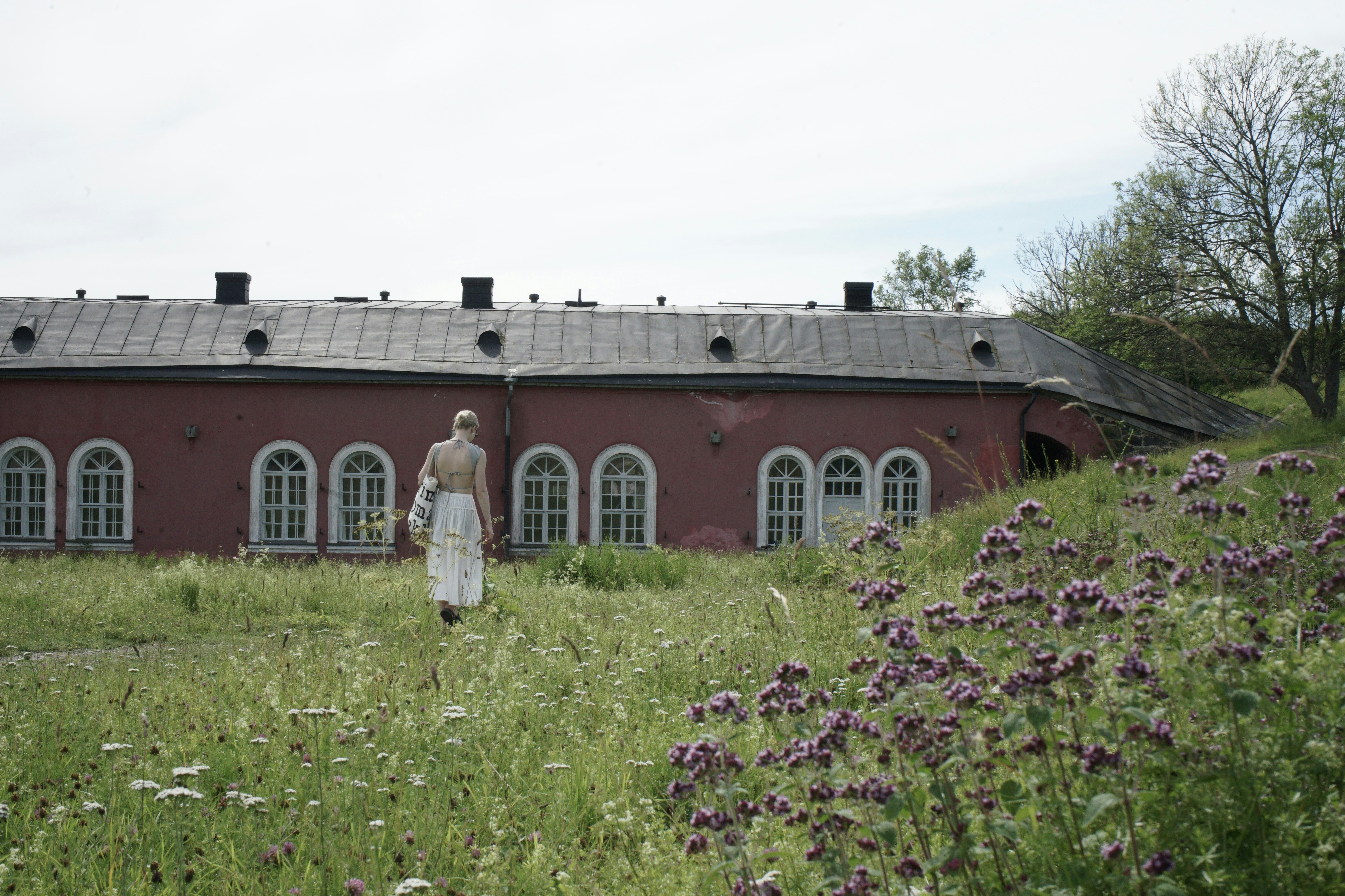 Shore of Quiet Fields: A Figure in White by the Redwall