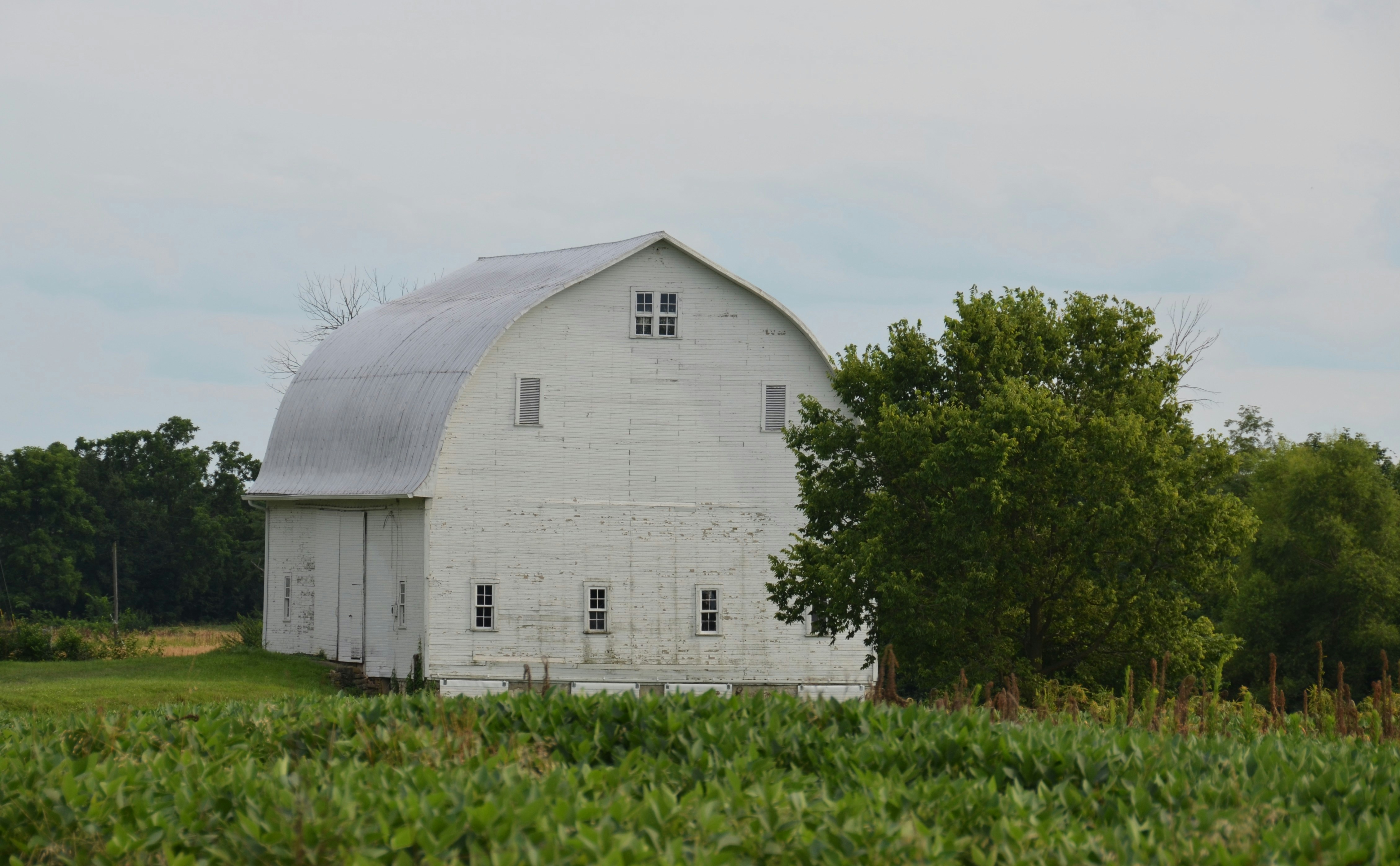 The White Barn Beneath a Quiet Prairie Sky