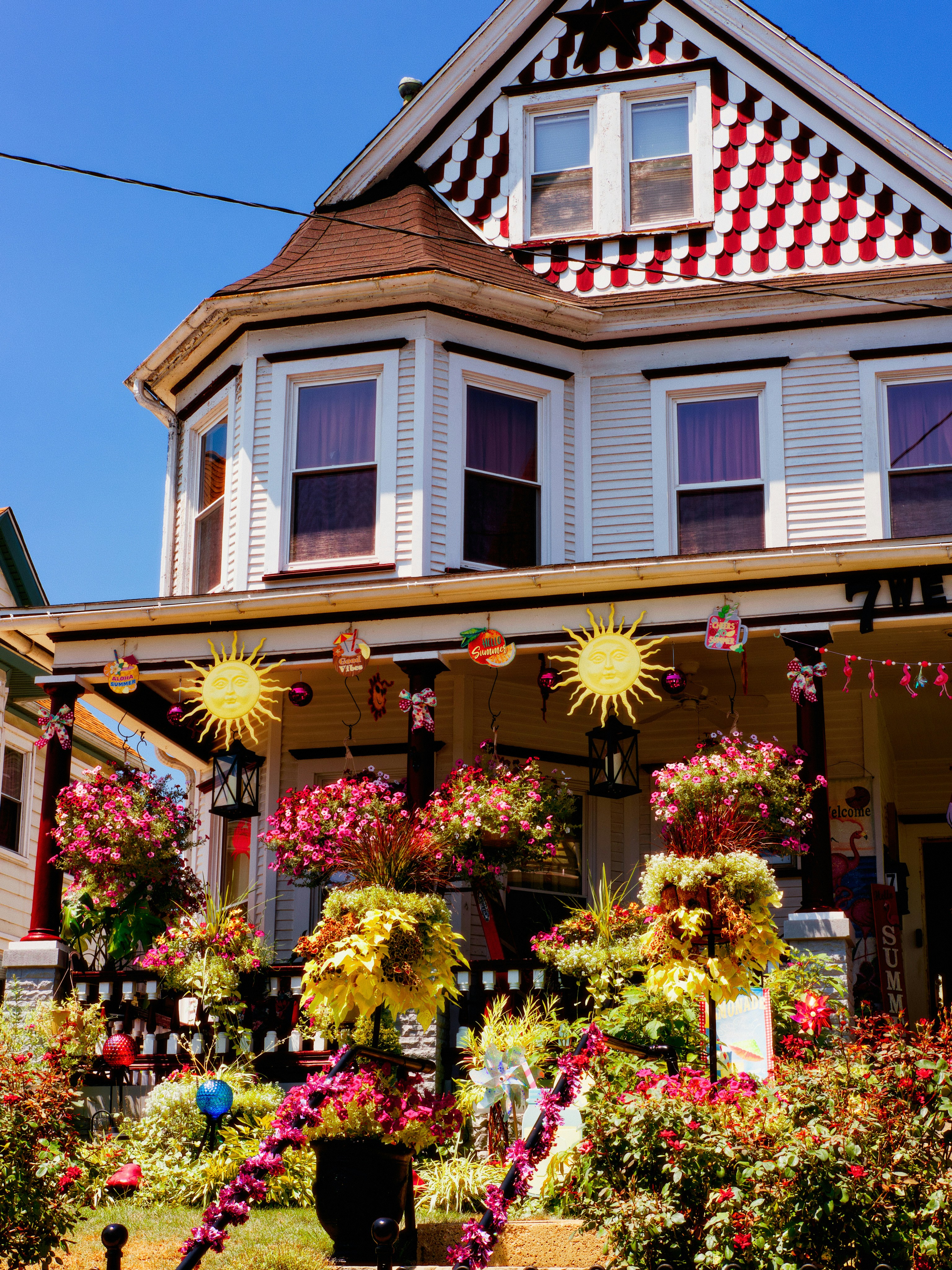 Sunlit Floral Façade: A Shopfront Garden in Full Bloom