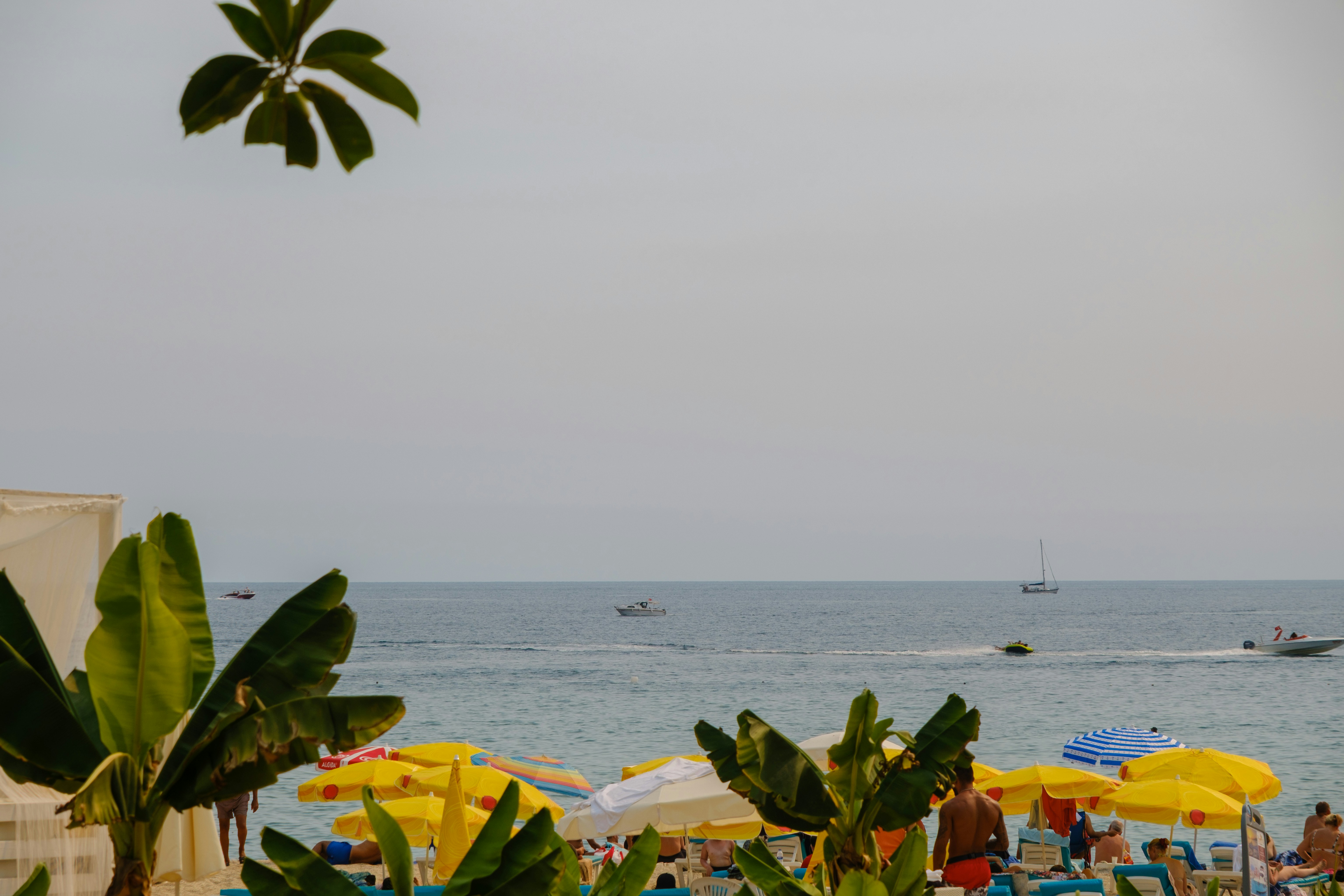 Sunlit Beach Vista with Palm Fronds Framing the Sea