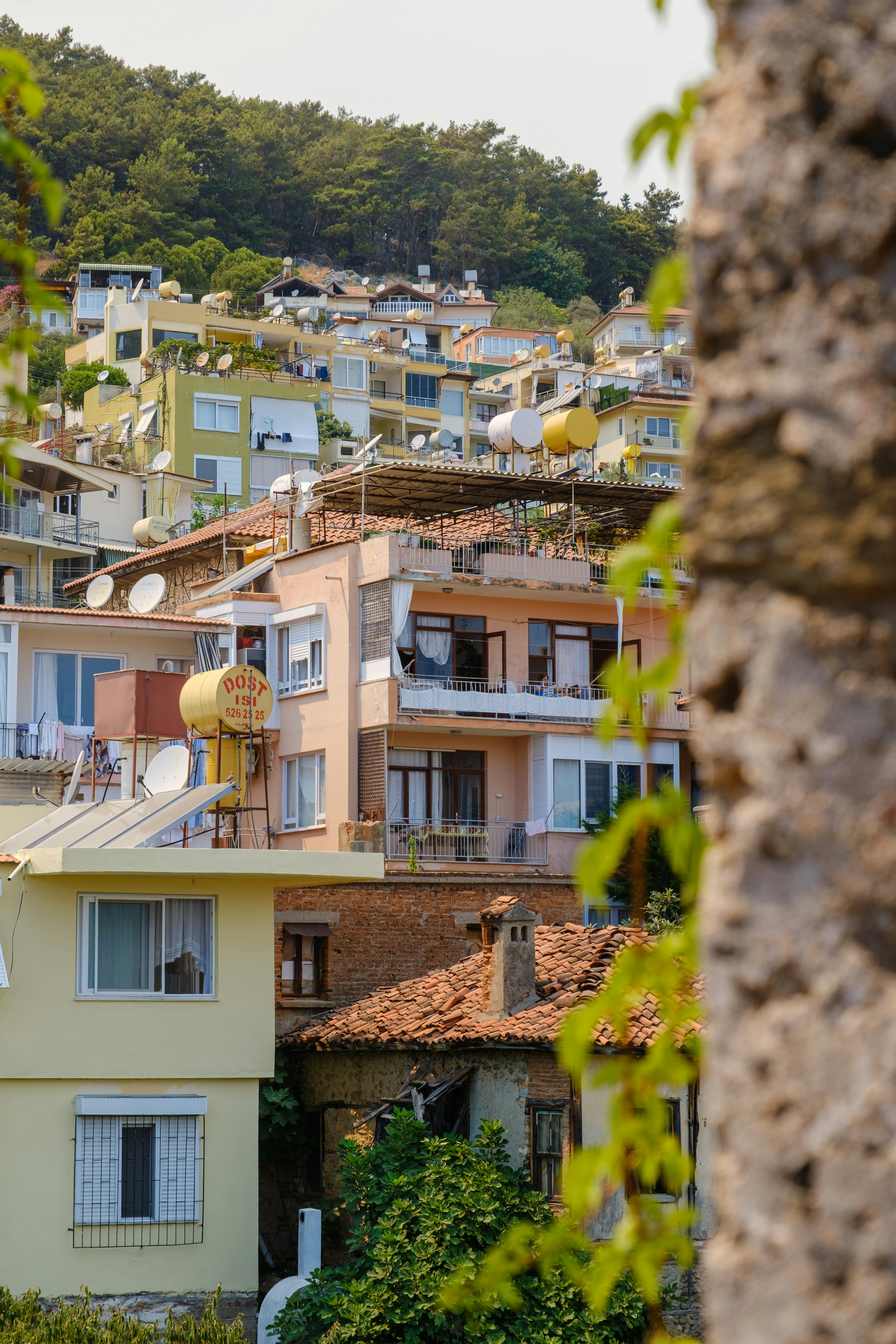 Colorful hillside apartments under a leafy overlook