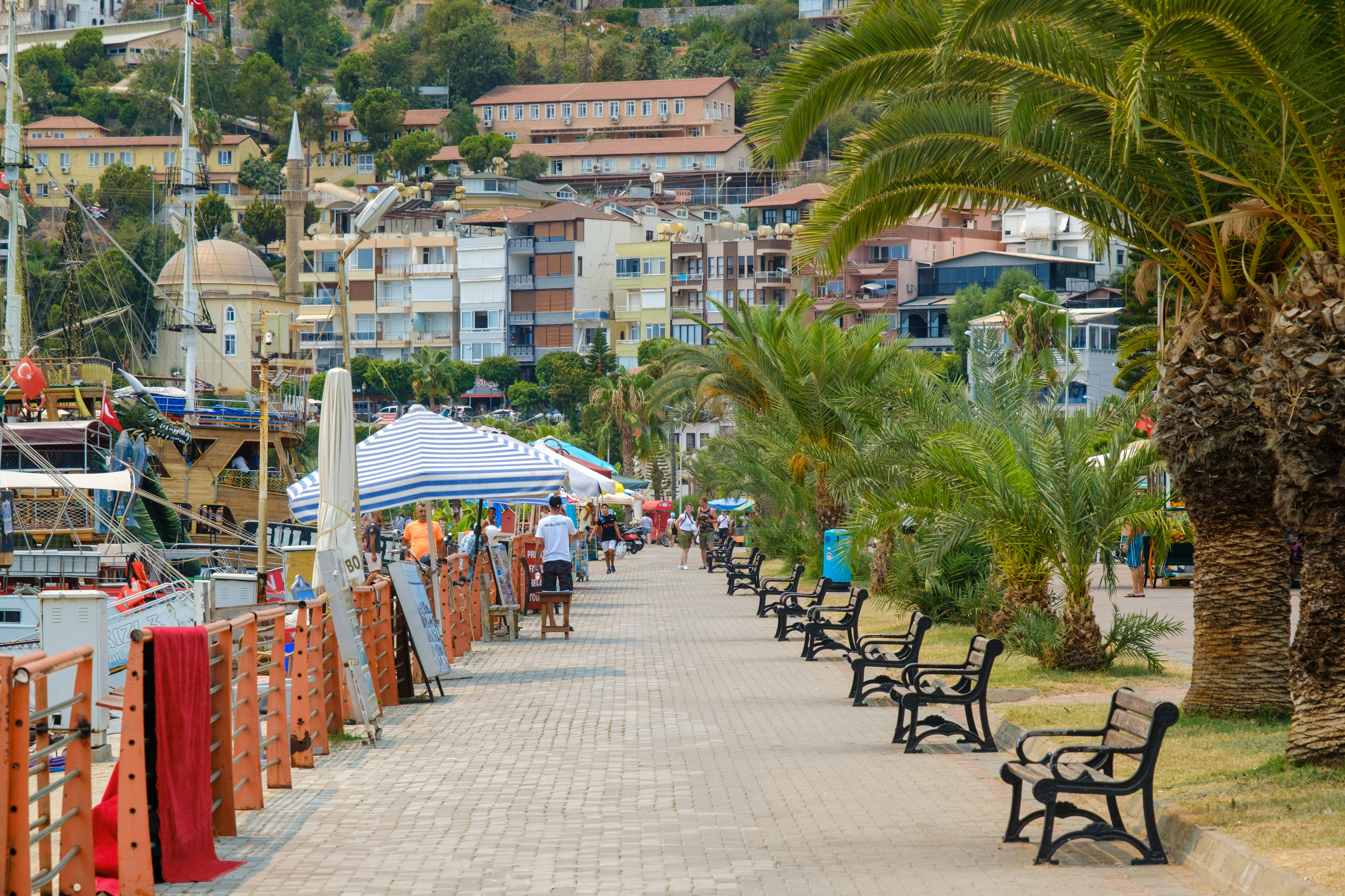 Palm-Shaded Promenade by the Marina