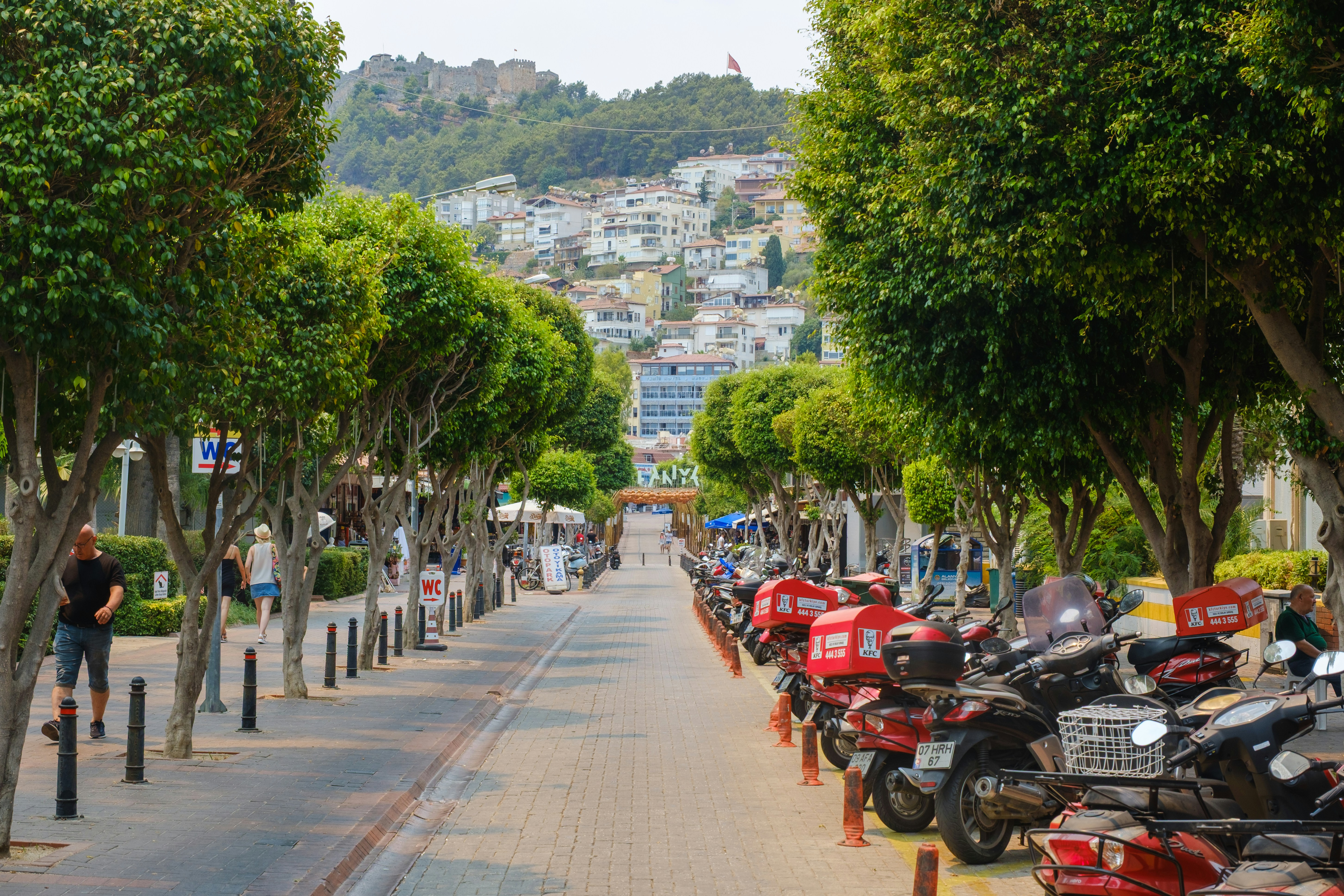 A tree-lined Avenida Quietly Leads Toward a Hillside Village