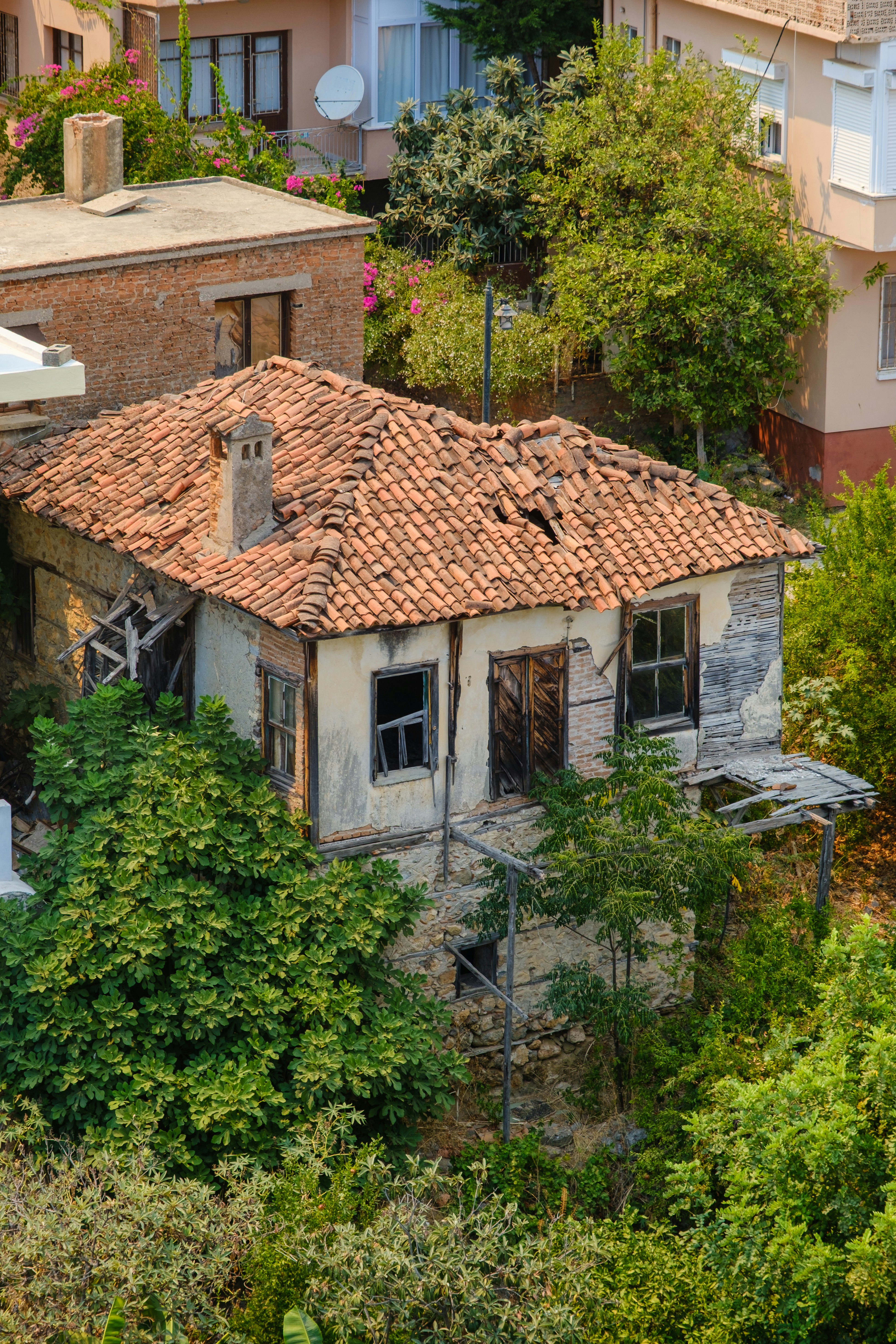Ruined Tile-Topped House Surrounded by Overgrown Garden