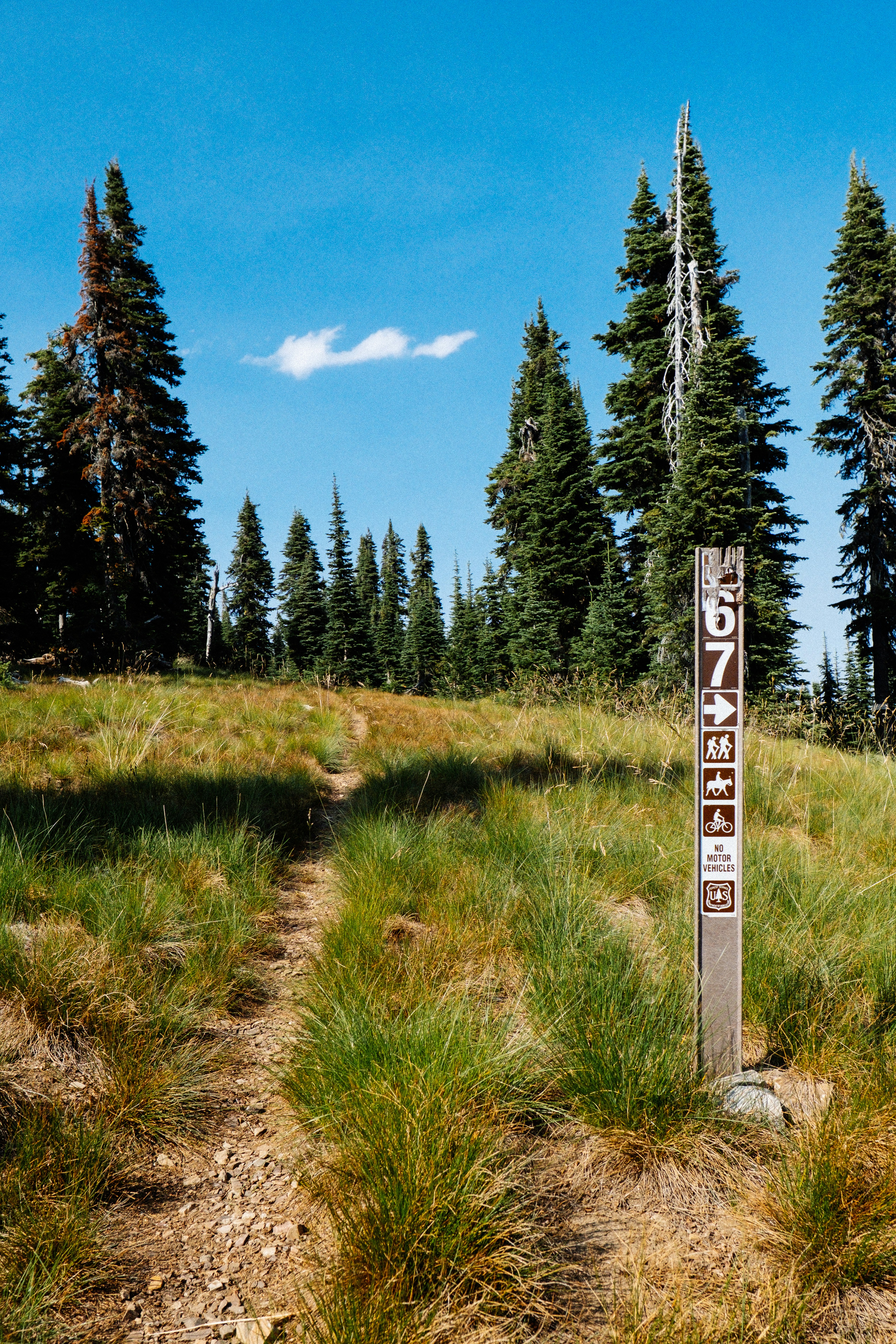 Trail Marker at Alpine Clearing
