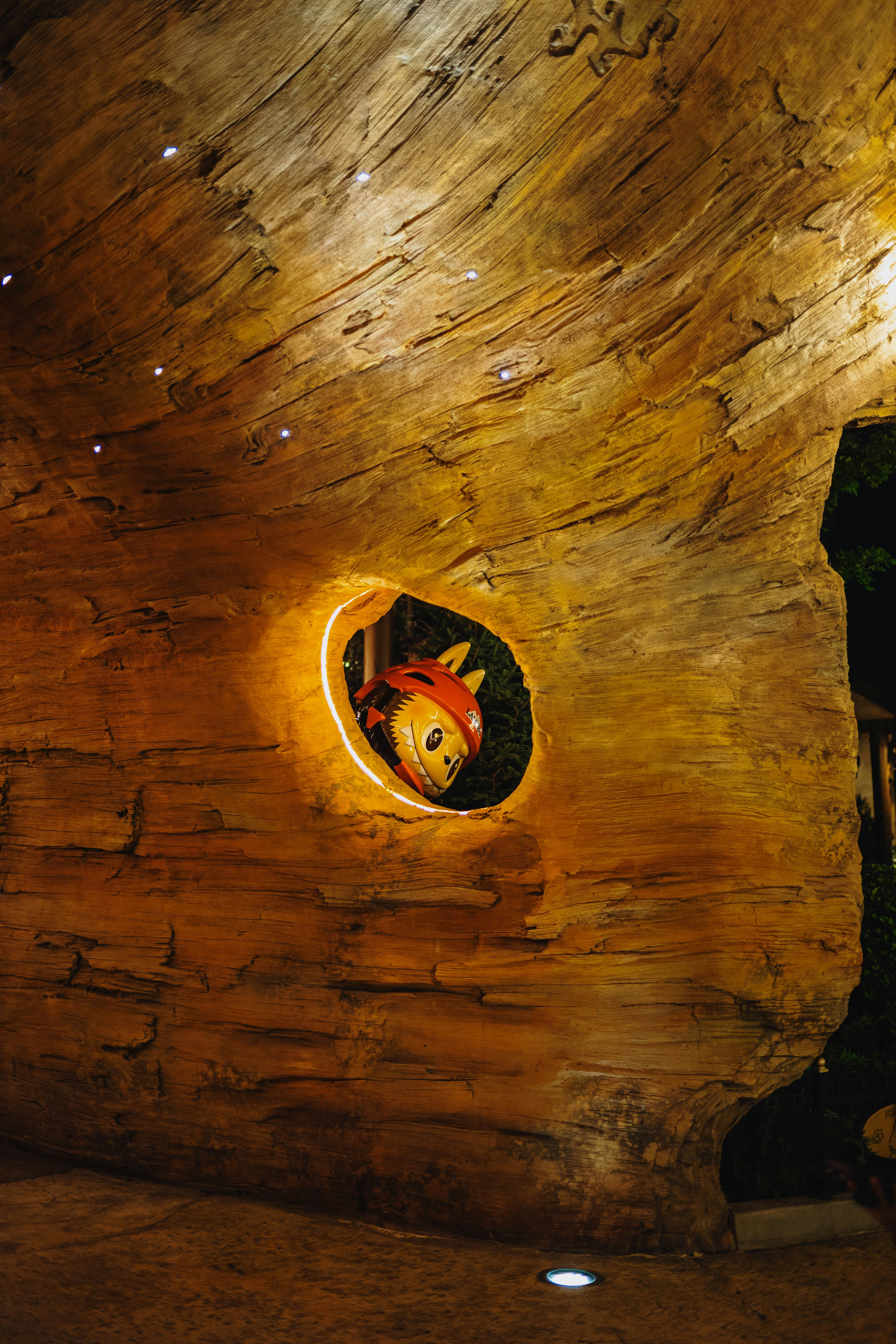 Keepsake in the Hollow: A Lanterned Gnome Peering Through a Tree Ring