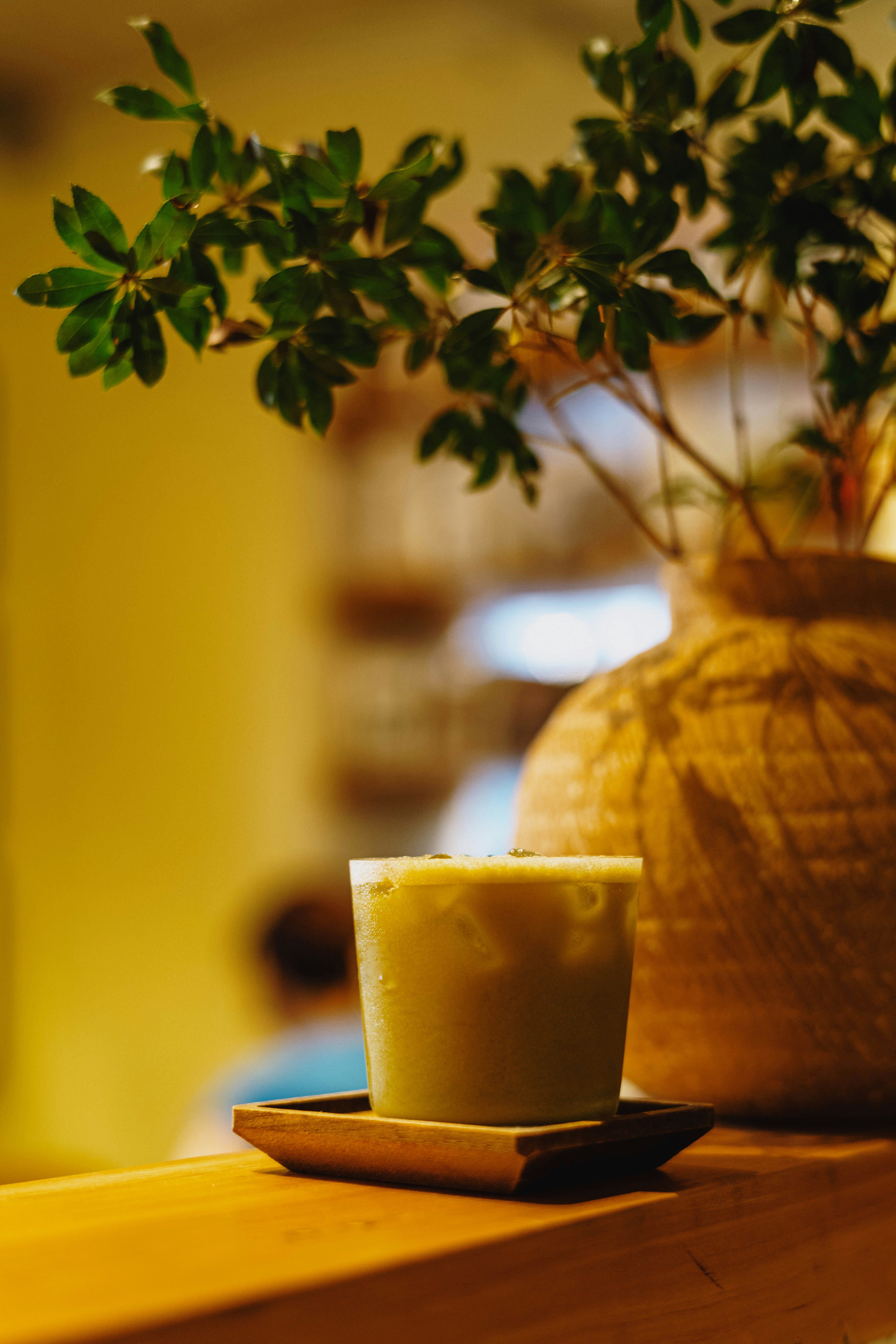 A softly lit scene of a pale ceramic cup resting on a wooden coaster atop a bar, with a woven vase and green plant in the background.
