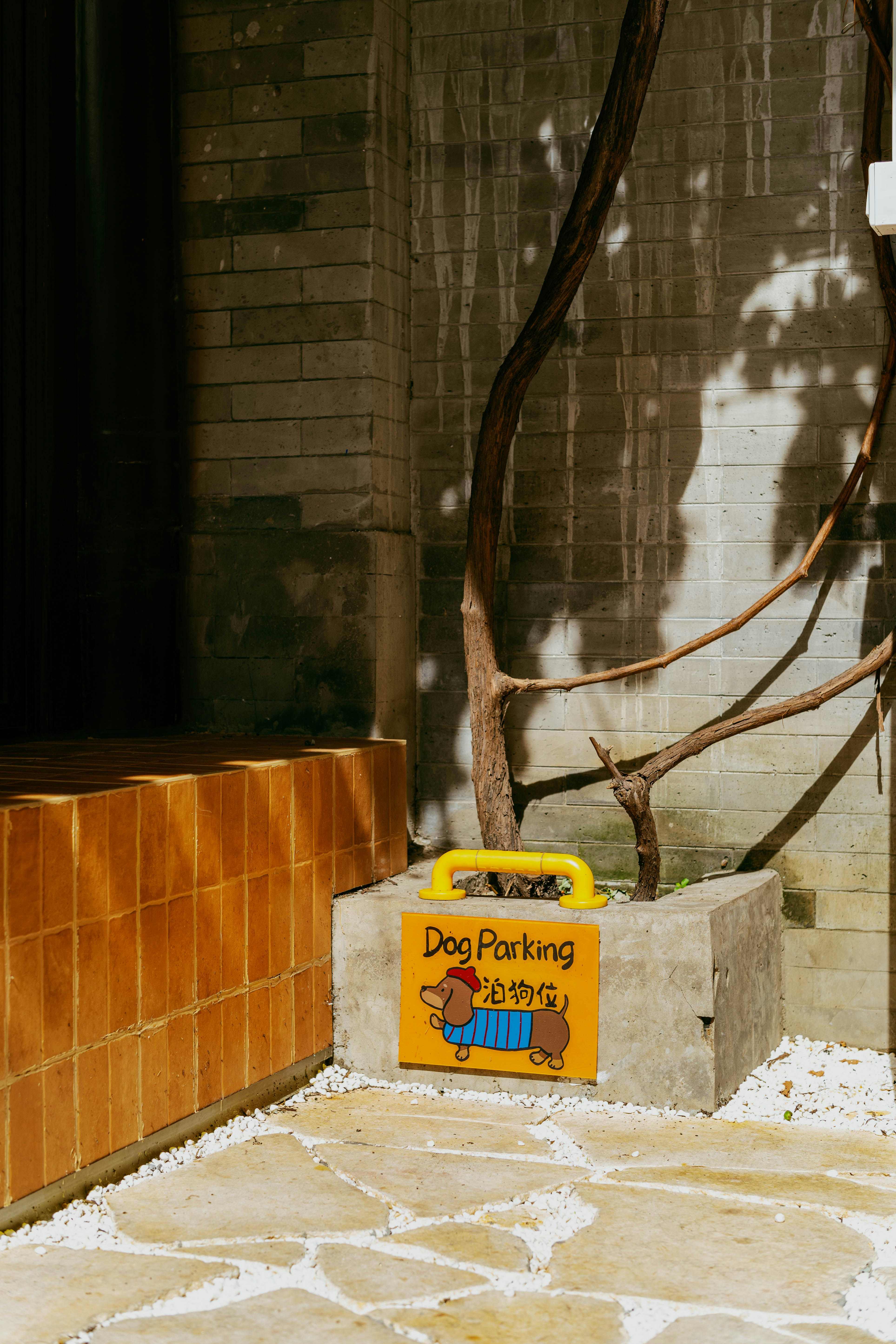 Yellow Handle, Pet Parking Sign, and Winding Branches
