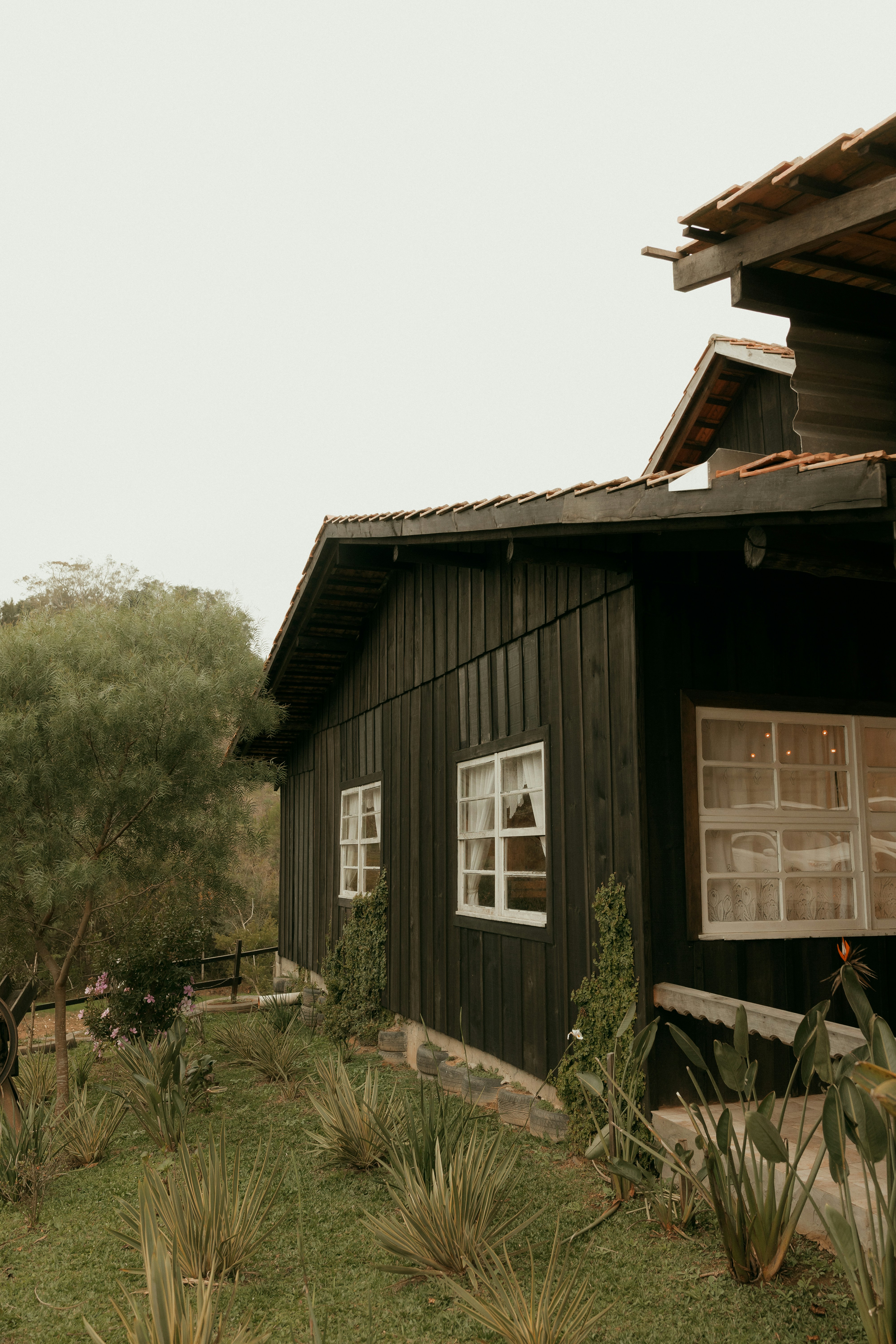 Sunlit Corner of a Rustic Cottage