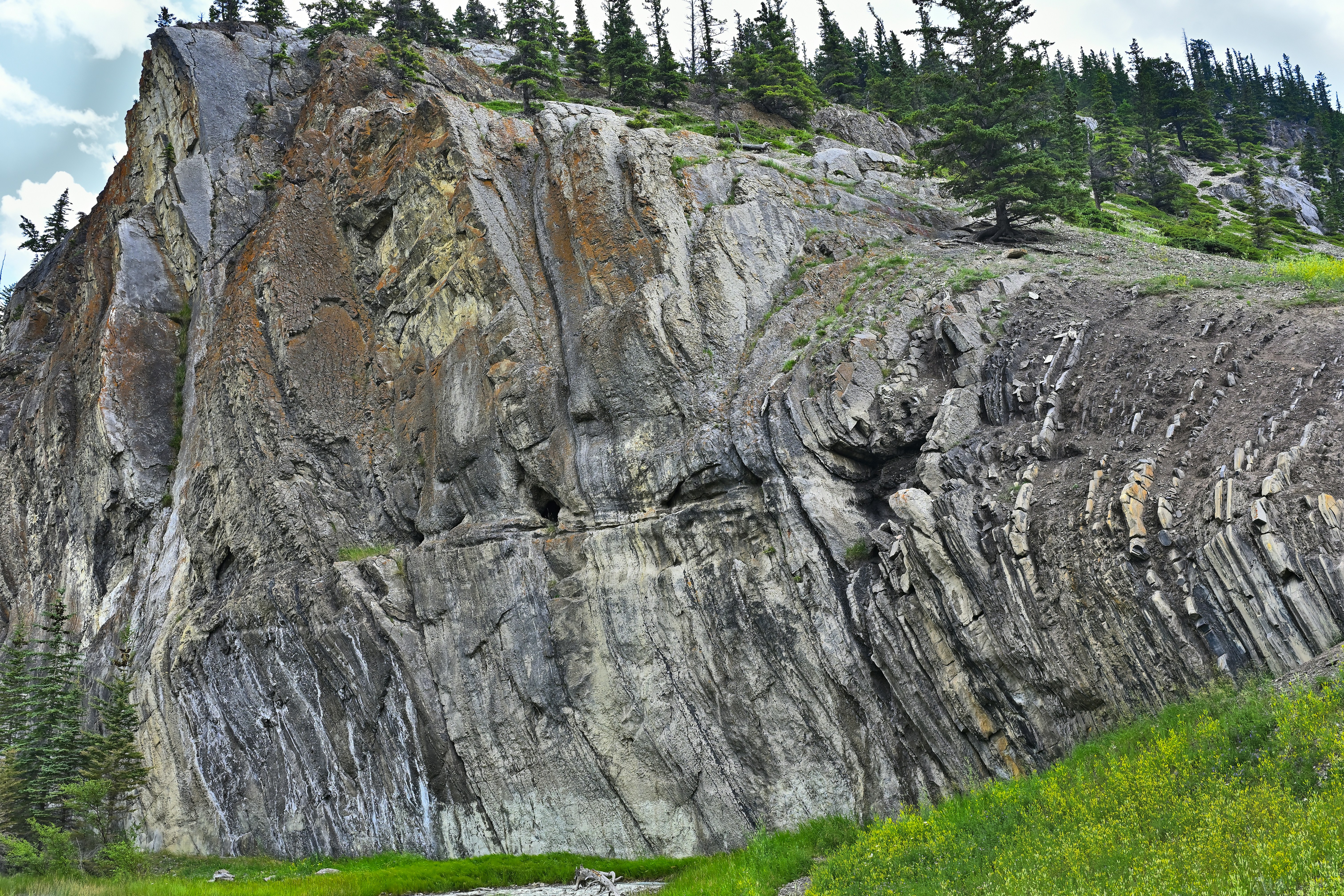 Stratified Granite Face under Alpine trees