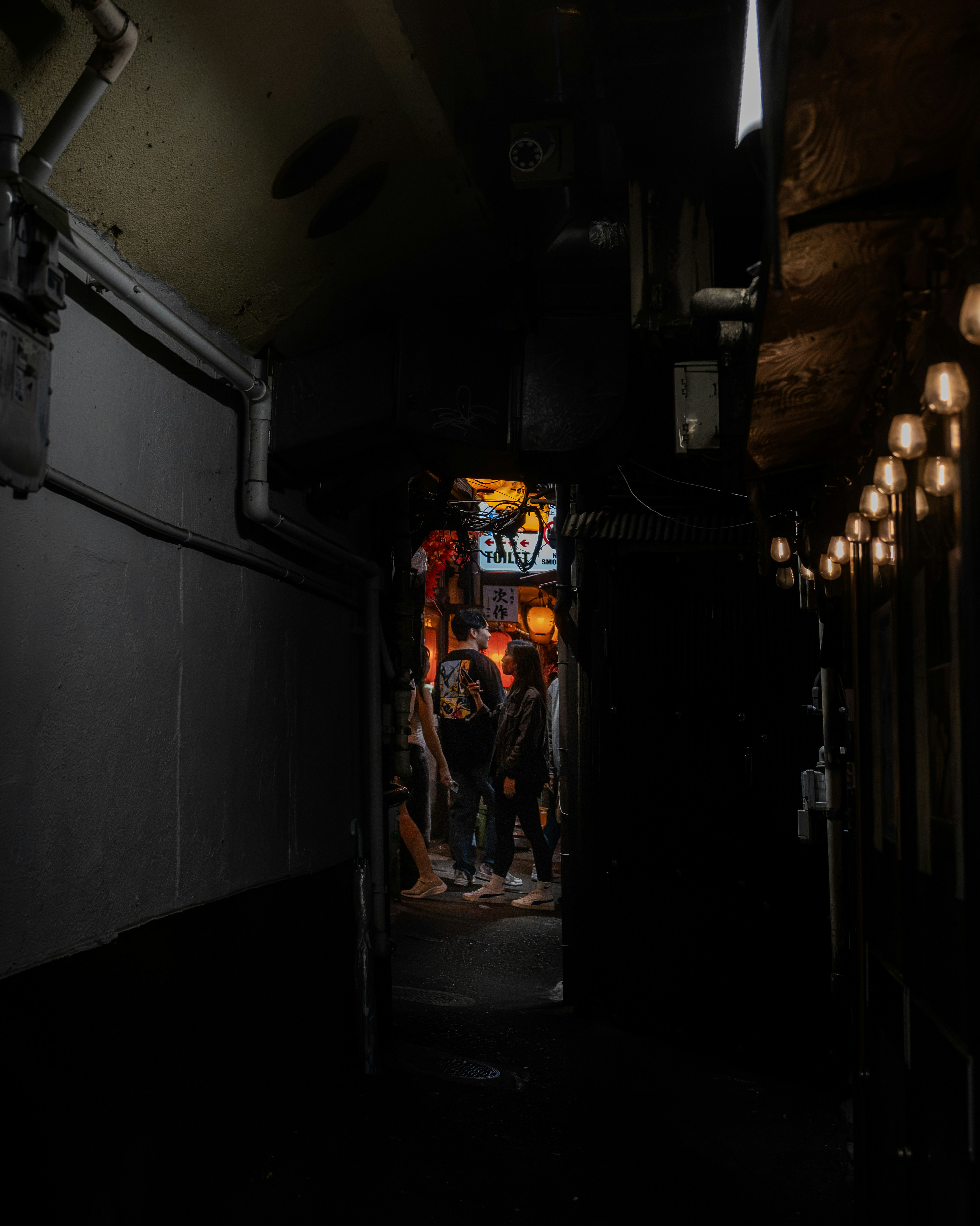 Midnight Crossing: Lanterns and silhouettes in a narrow alley