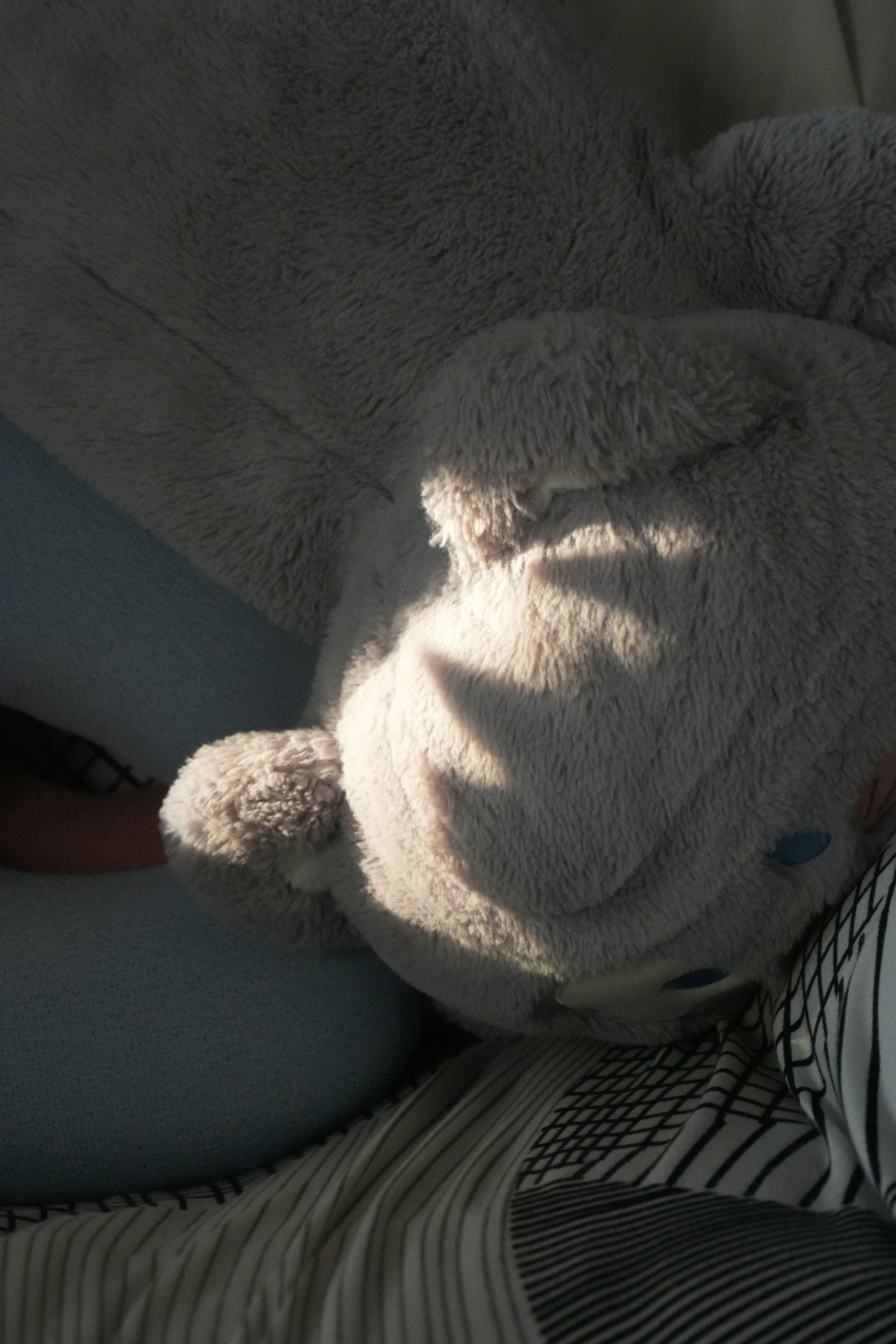 Close-Up of a Soft Teddy Face in Cozy Bed Nook