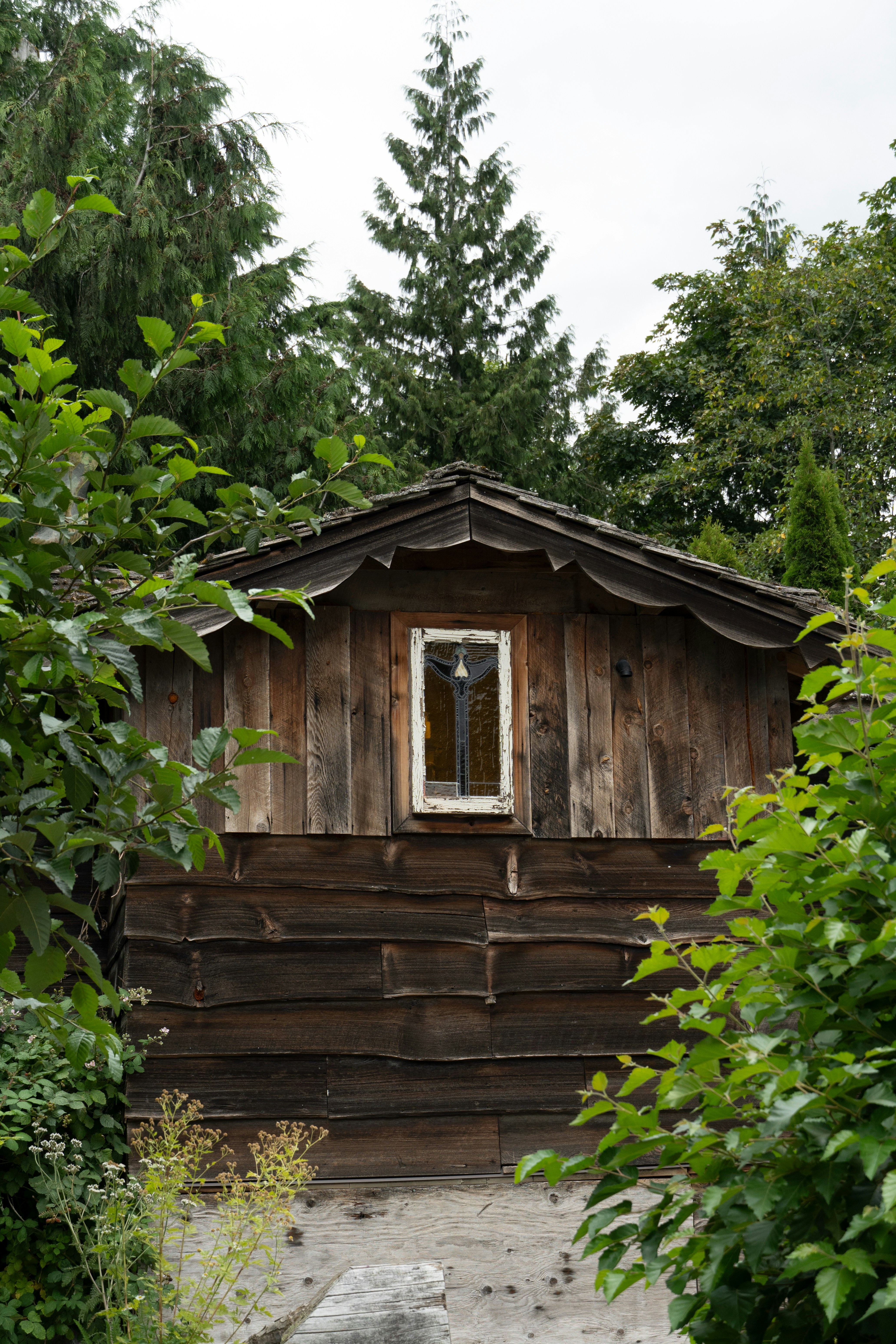 Weathered Cabin Nook Framed by Greenery