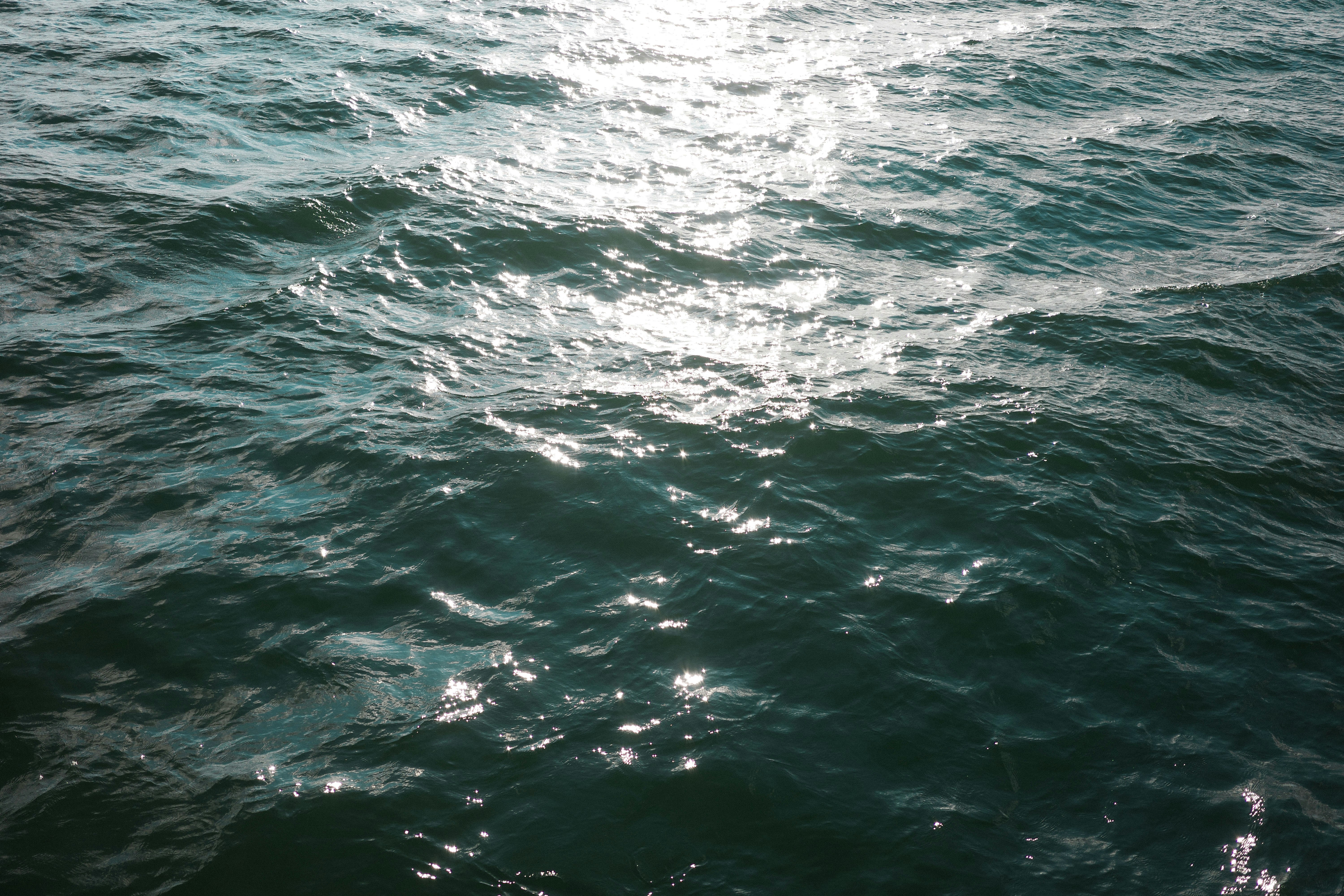 Glittering Sea: Sunlit Ripples Across a Calm Surface