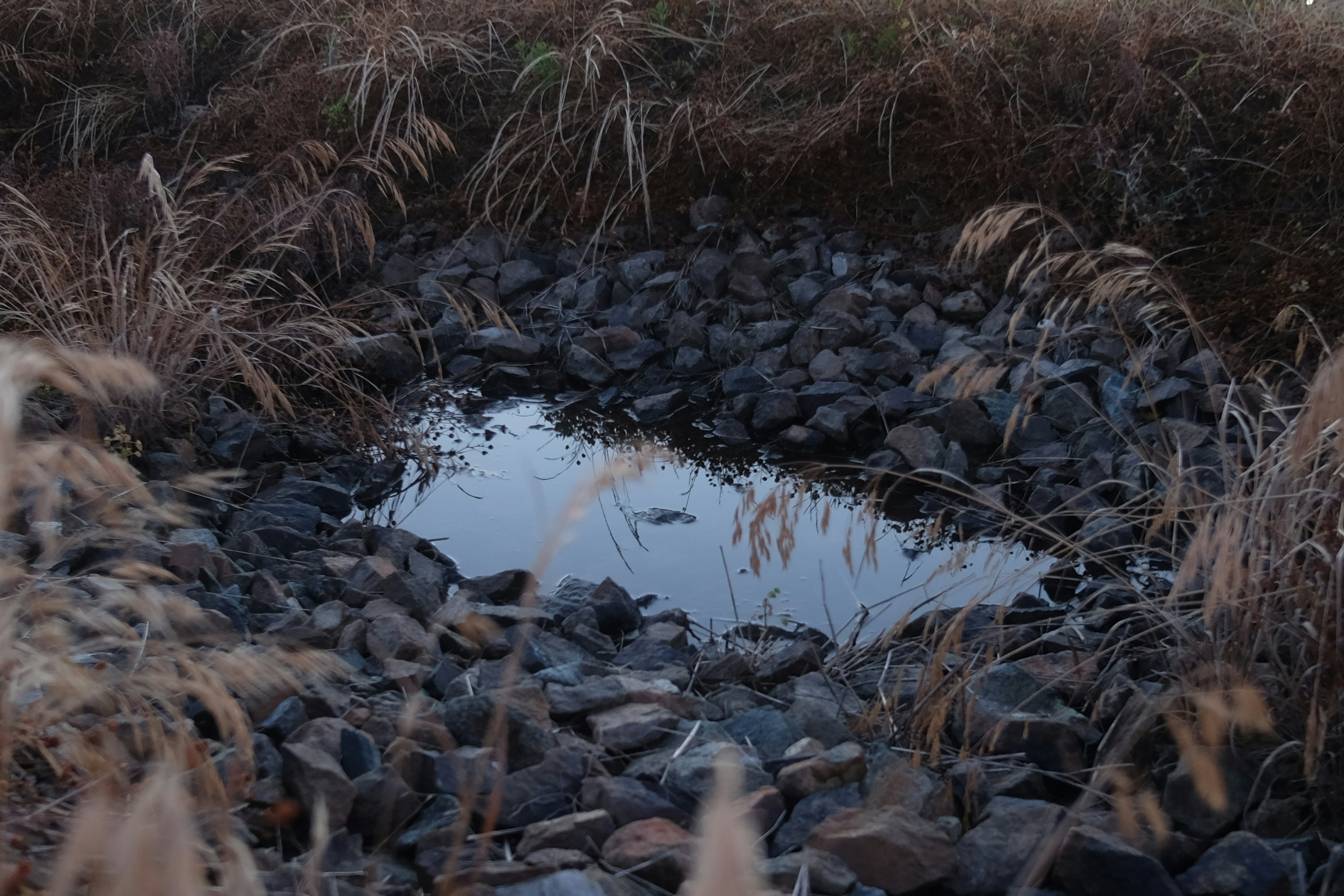 A small reflective pool nestled among dark rocks and dry grasses, capturing a serene patch of sky in its surface.