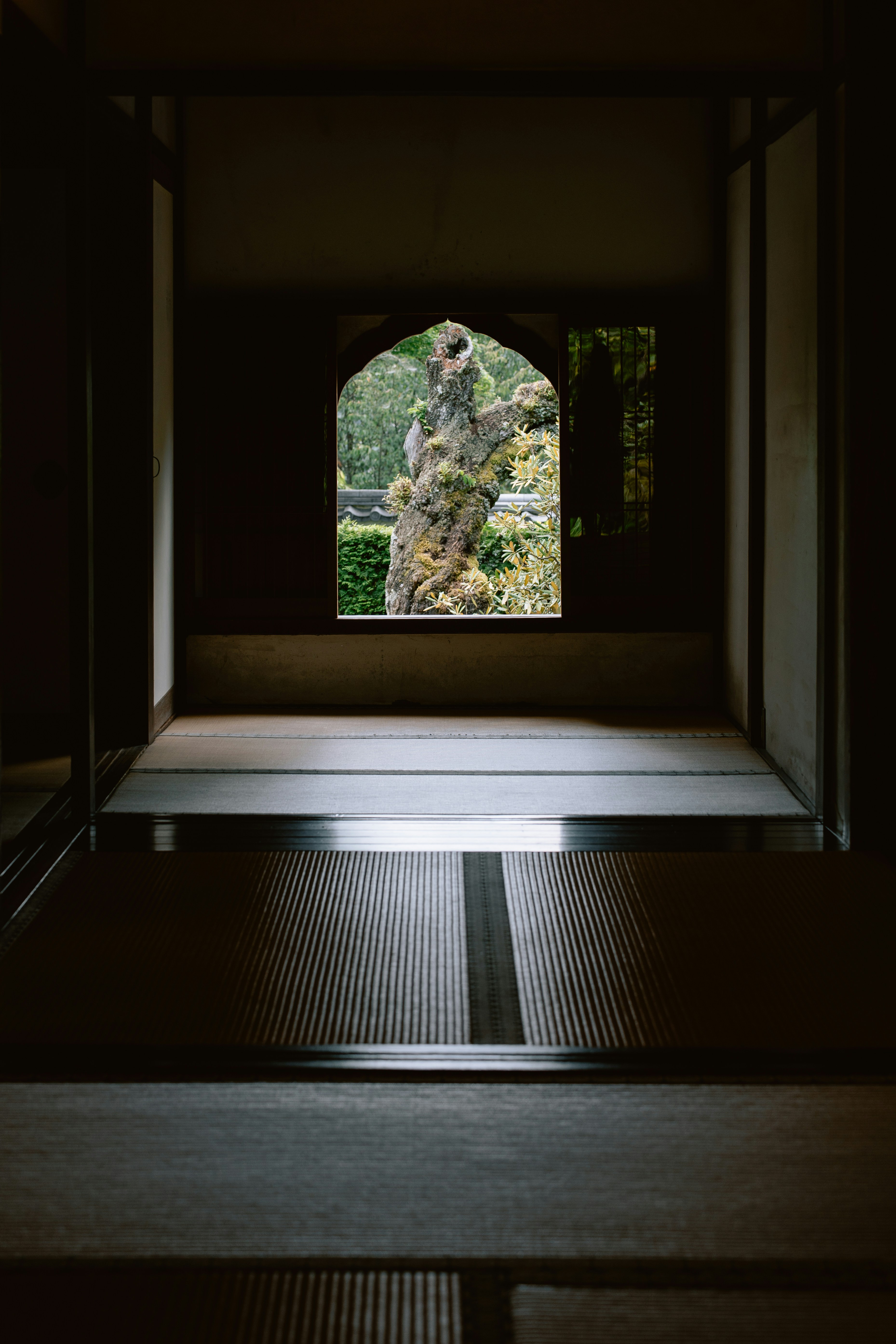 Through the Silent Corridor to the Bonsai Gate