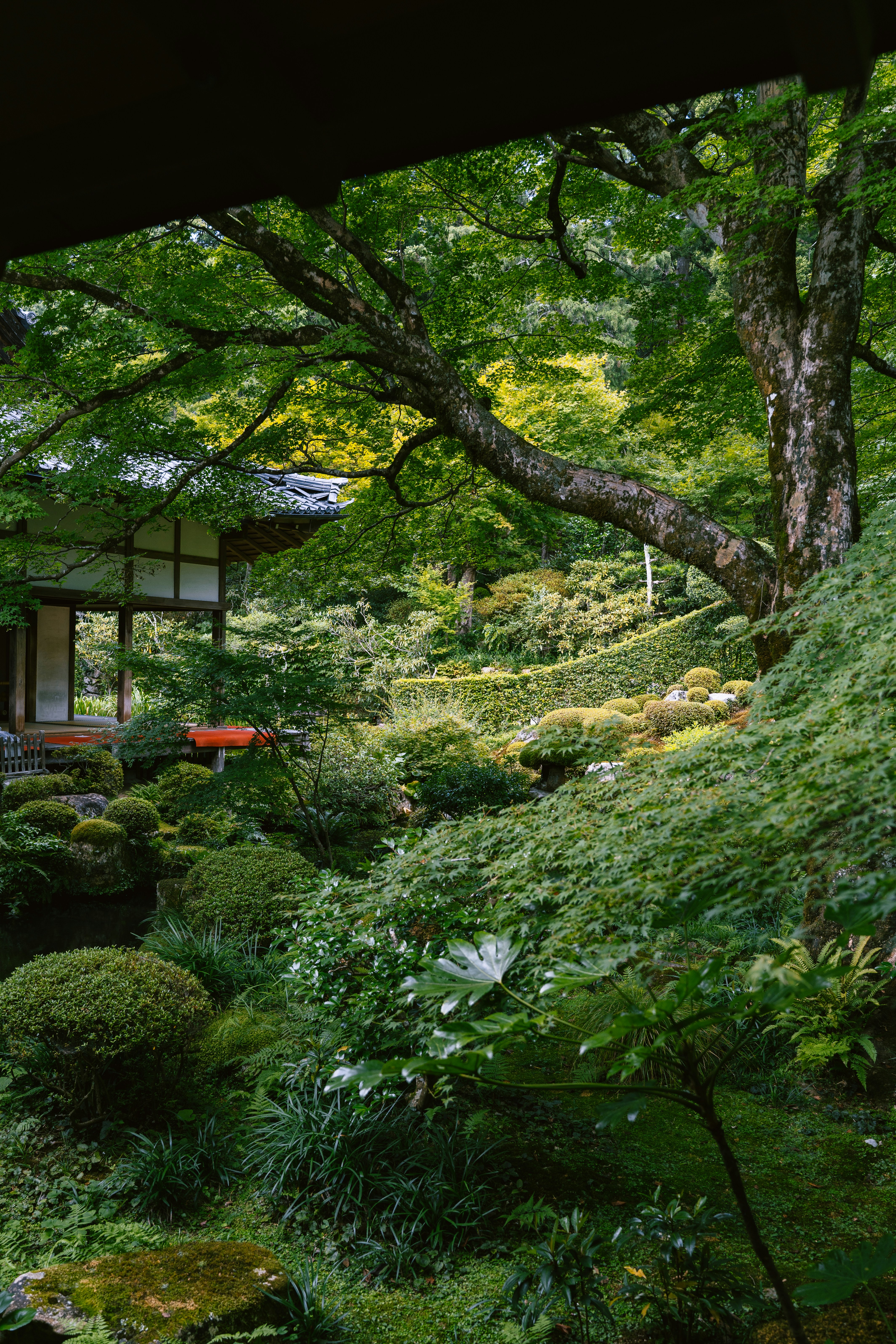 Hidden Temple Garden in Morning Light