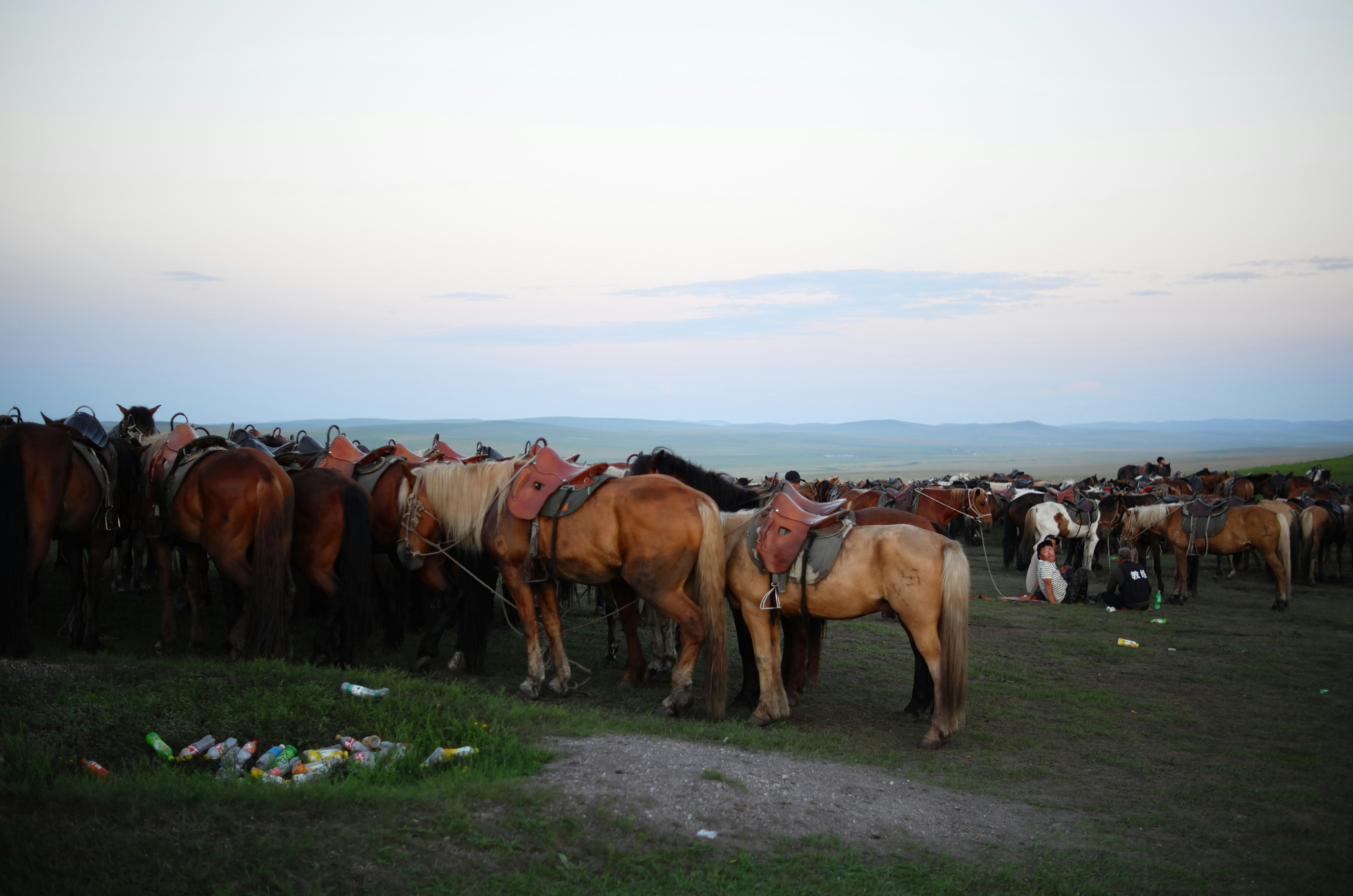 Horses gather in a long line on a grassy plain at dusk, saddled and resting near a scattered assortment of bottles and debris.