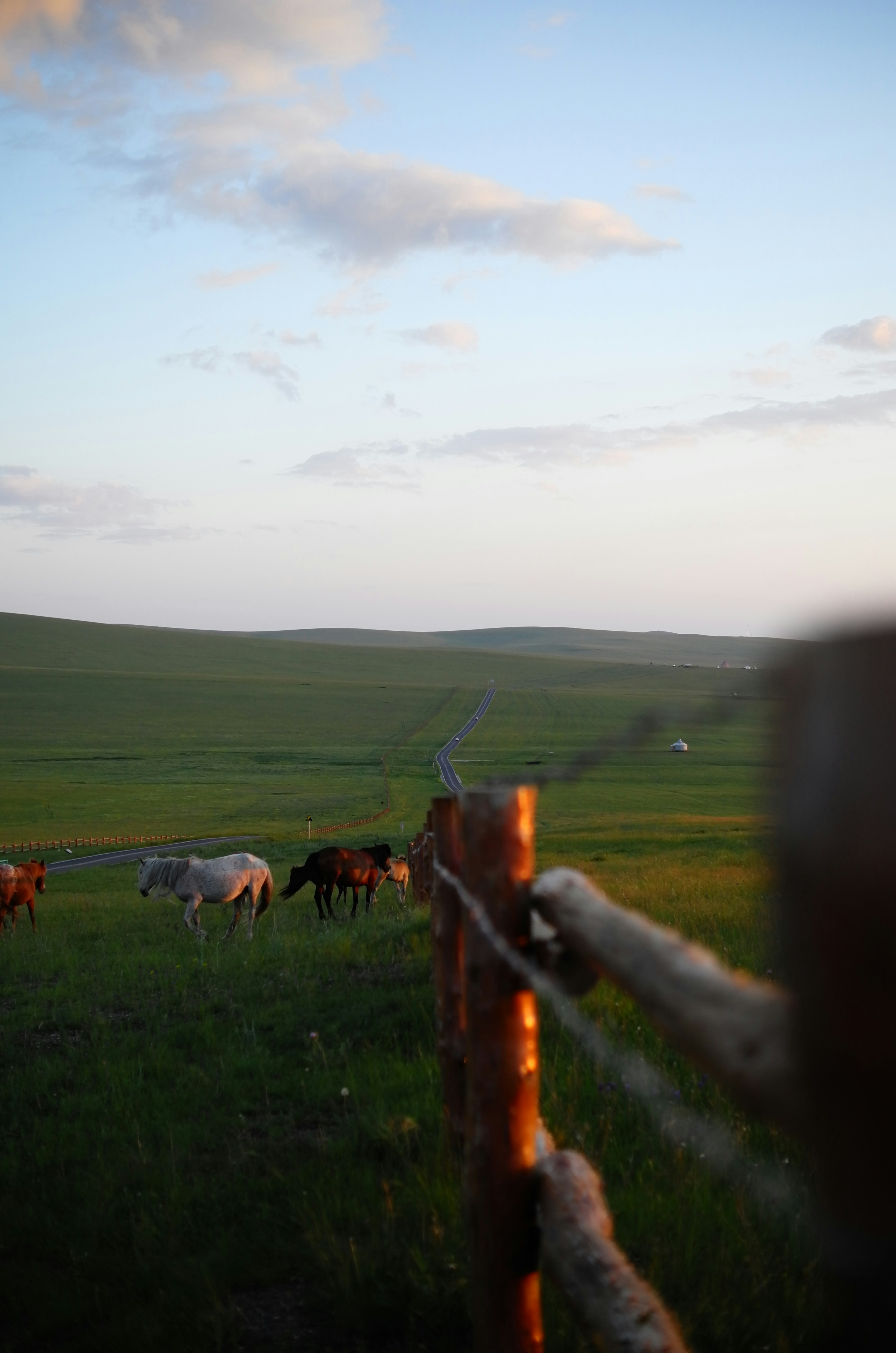 Rolling green pasture with a winding road receding into the horizon, a rustic fence in the foreground, and a small herd of horses at the left; soft evening light.
