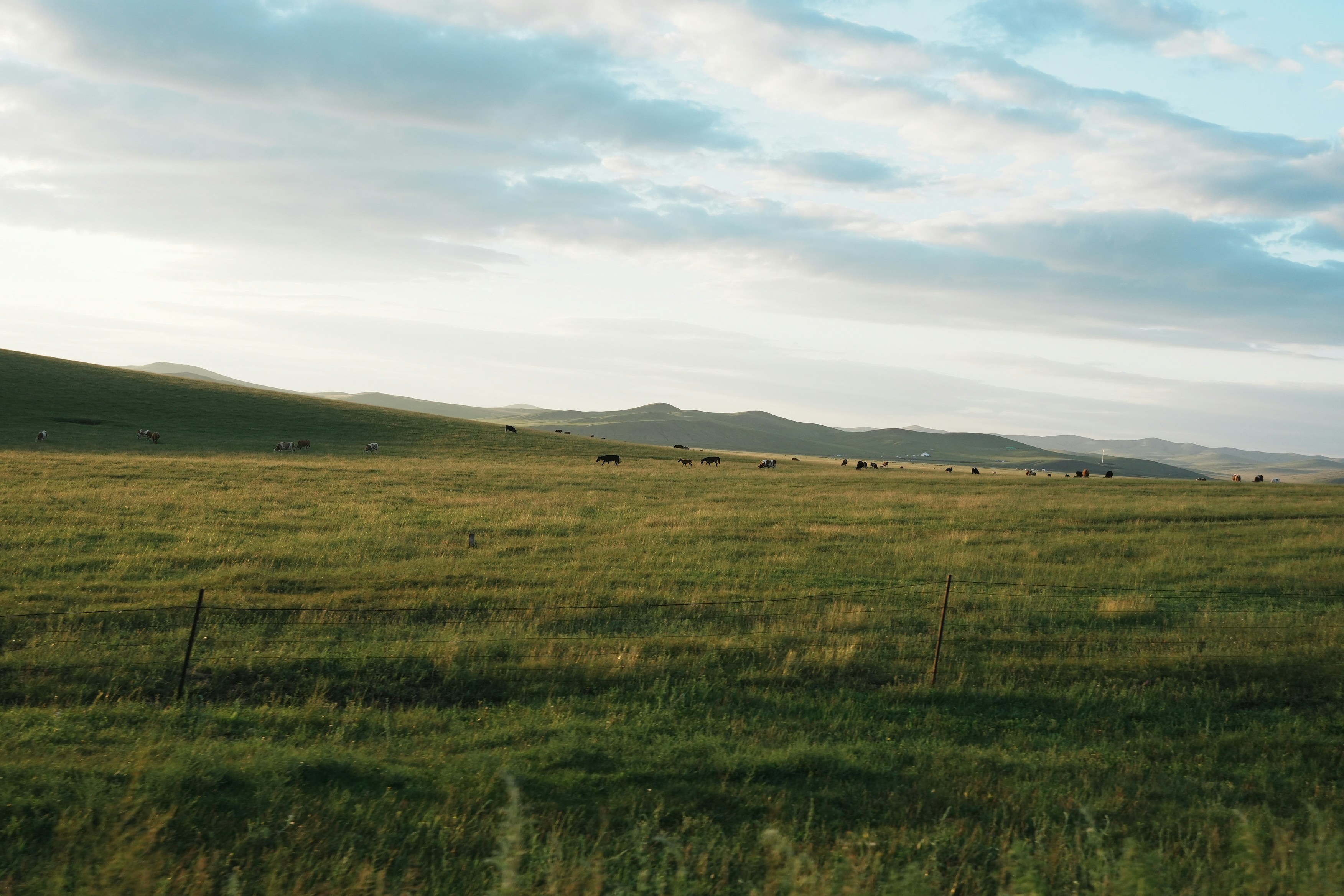 Rolling Grasslands under a Quiet Sky