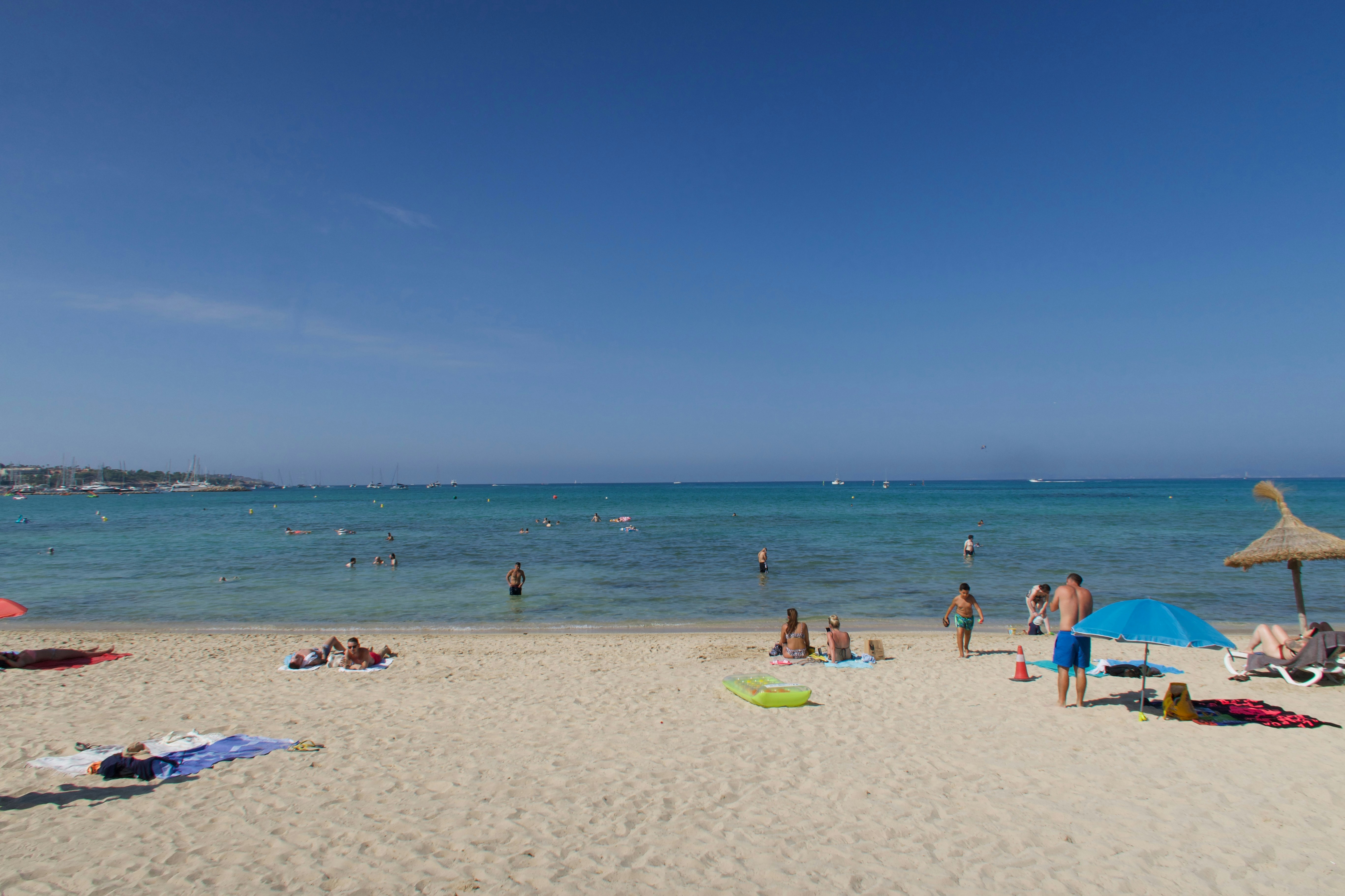 Sunlit shoreline: families and surfers at a calm cerulean sea