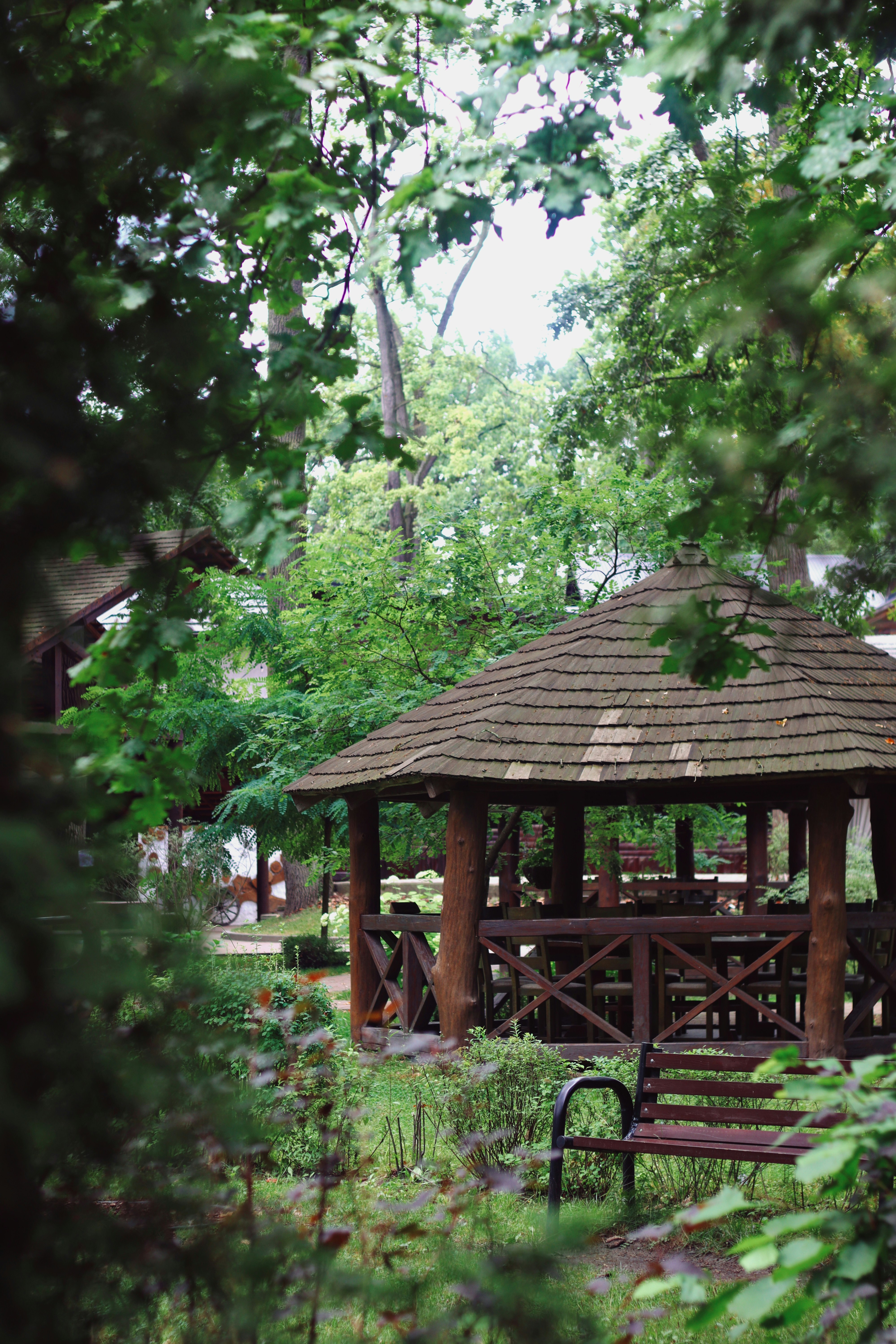 Hidden Garden Gazebo: A Tranquil Woodland Retreat