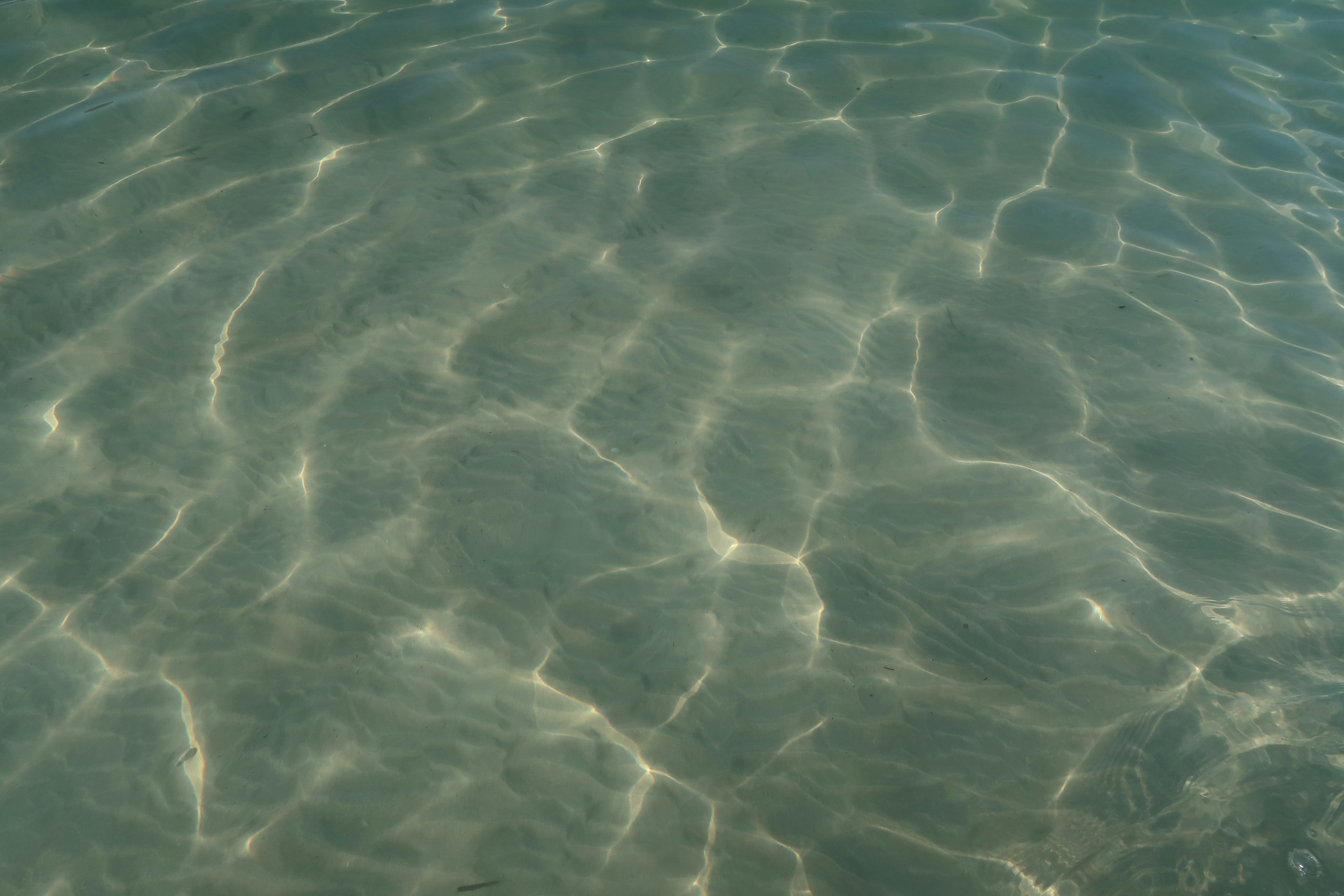 Sunlit Ripples: A Calm Shallow Sea Surface