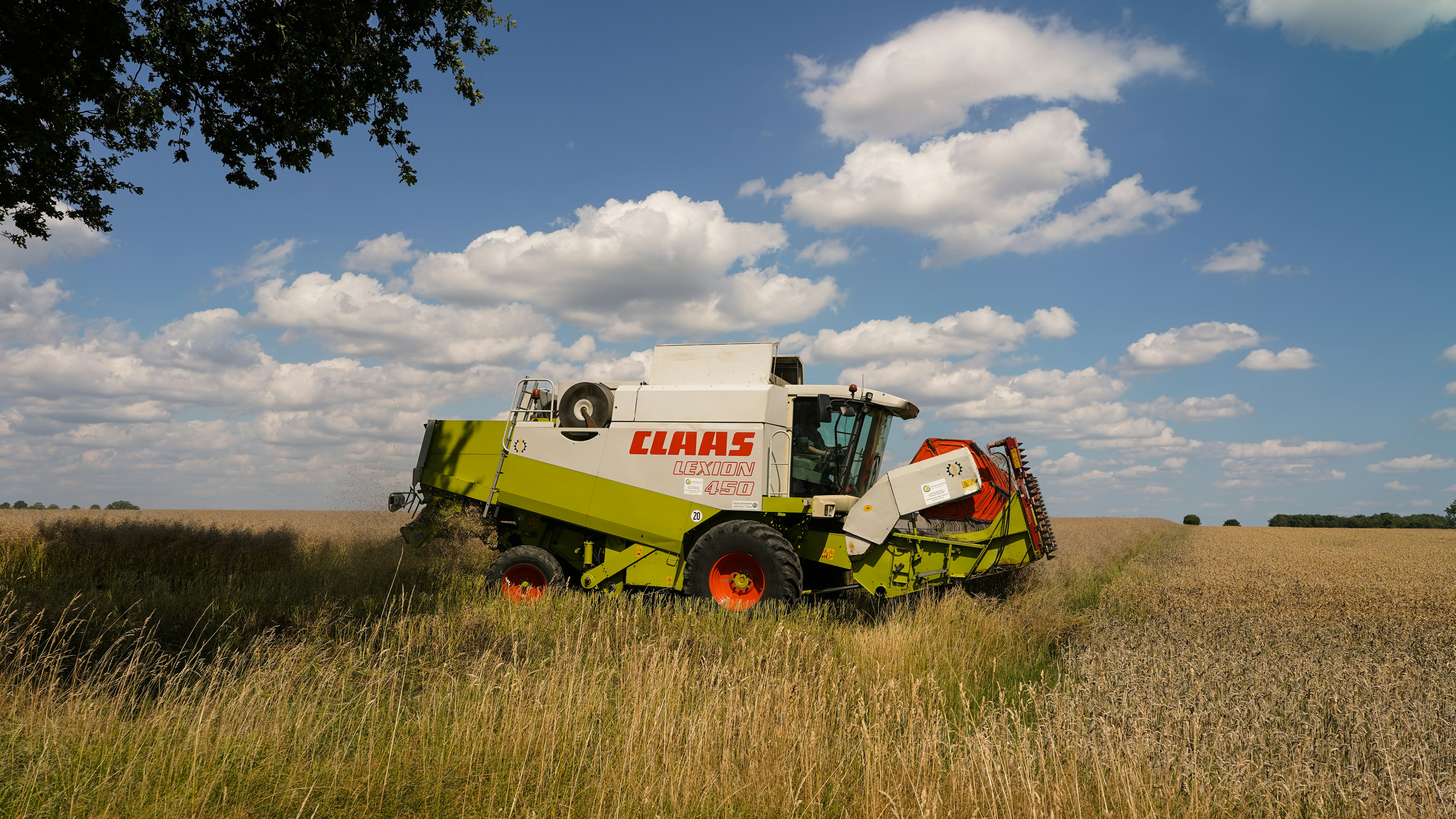Harvest Machinery in a Golden Field Under a Freckled Sky