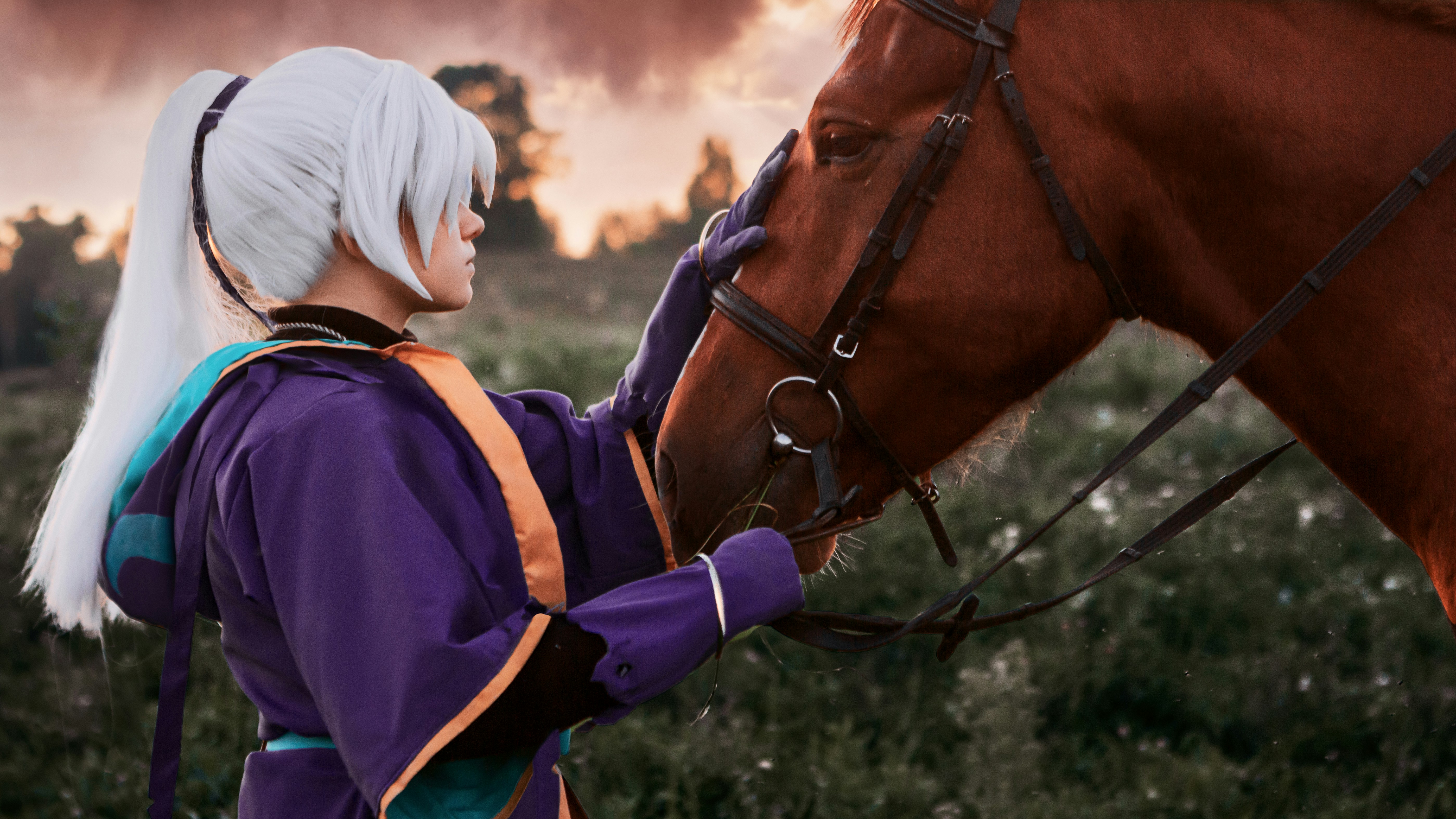 Two-tone costumed figure with white hair gently touches a horse's bridle, conveying a calm, intimate moment in a setting sun-lit field. Illustration-like scene with a horse and a fantasy-clad character.