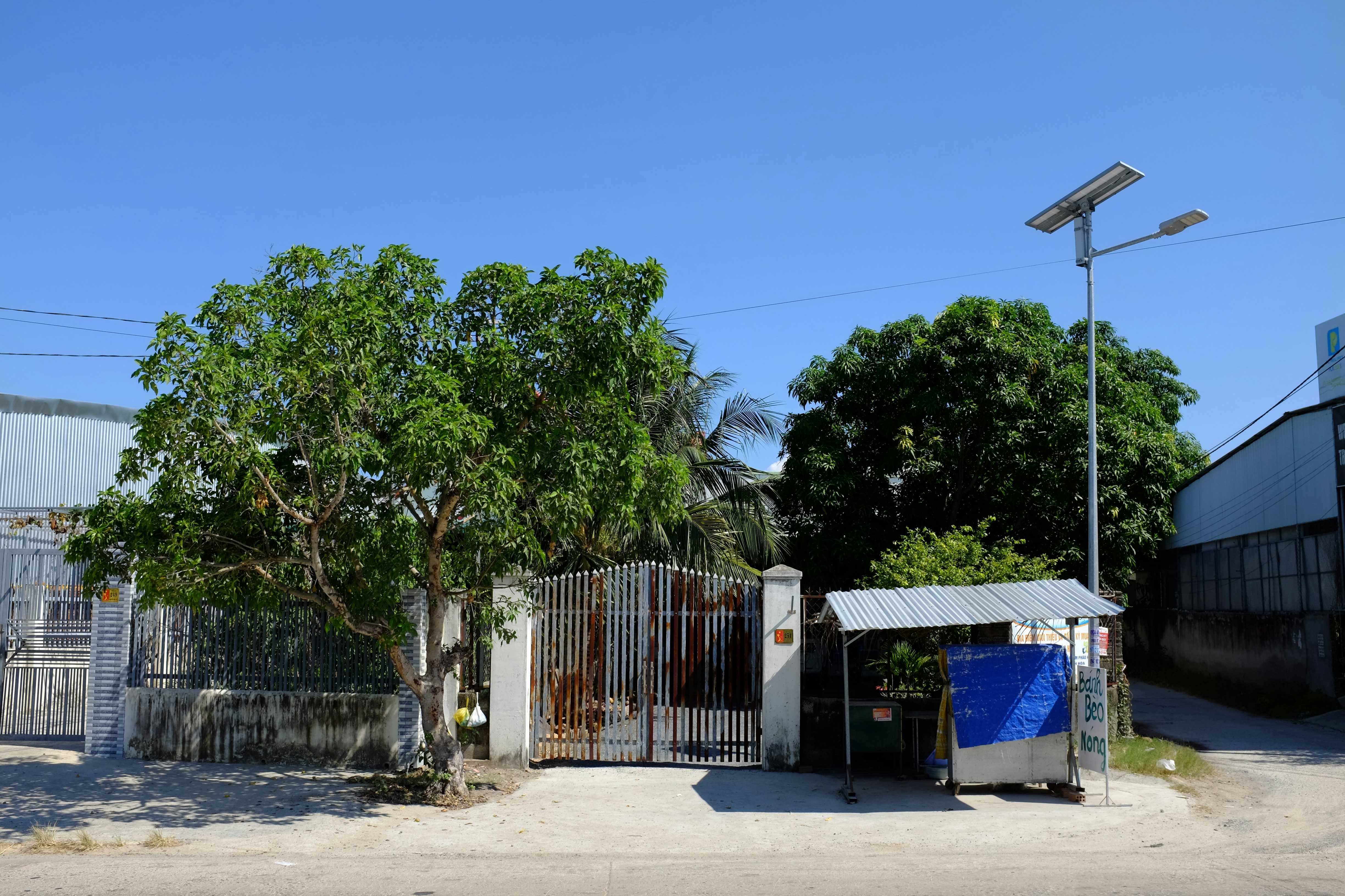Gateway to the Street: A Sunlit Compound with Greenery and Corrugated Shelter