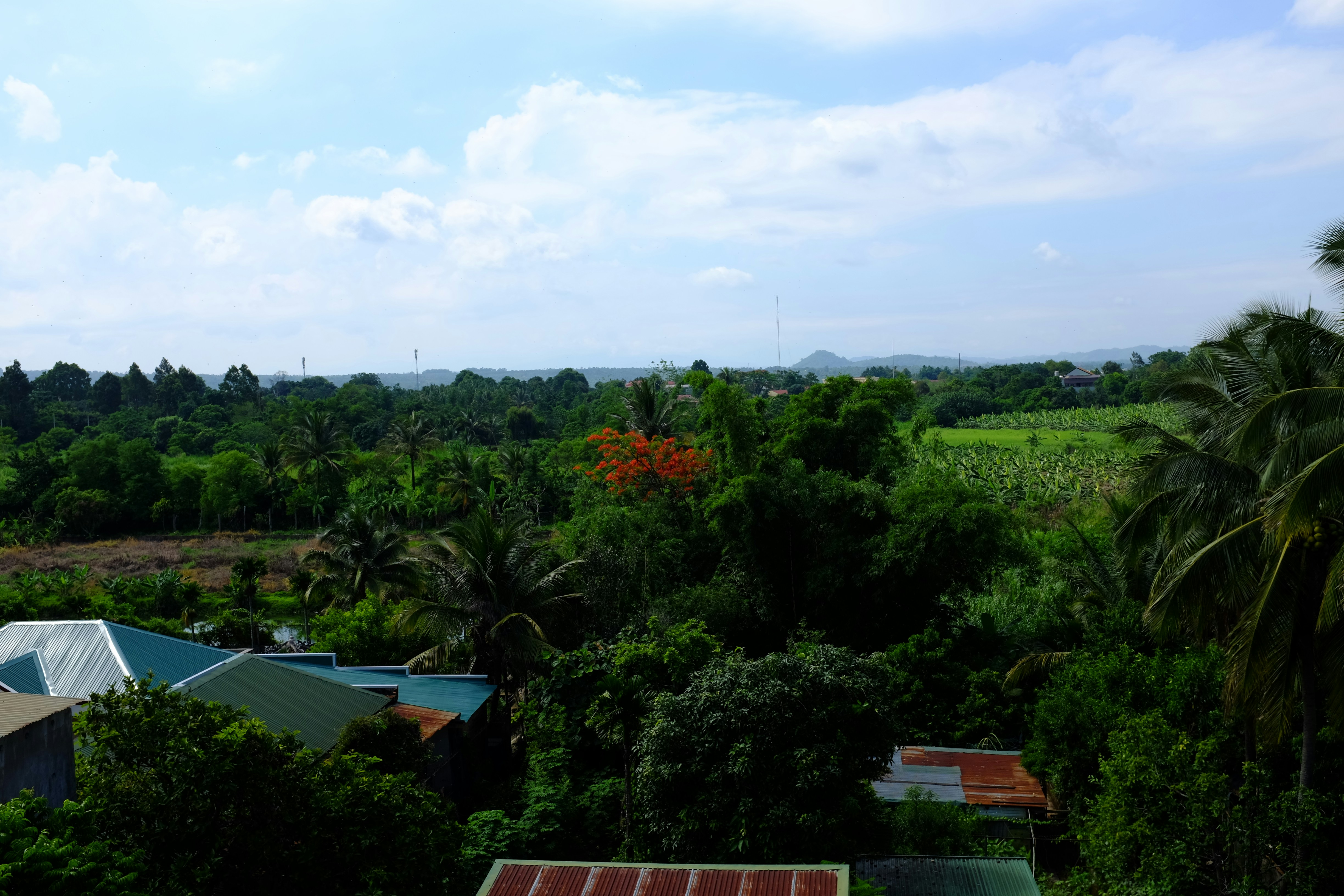 Lush Horizon over a Tropical Village