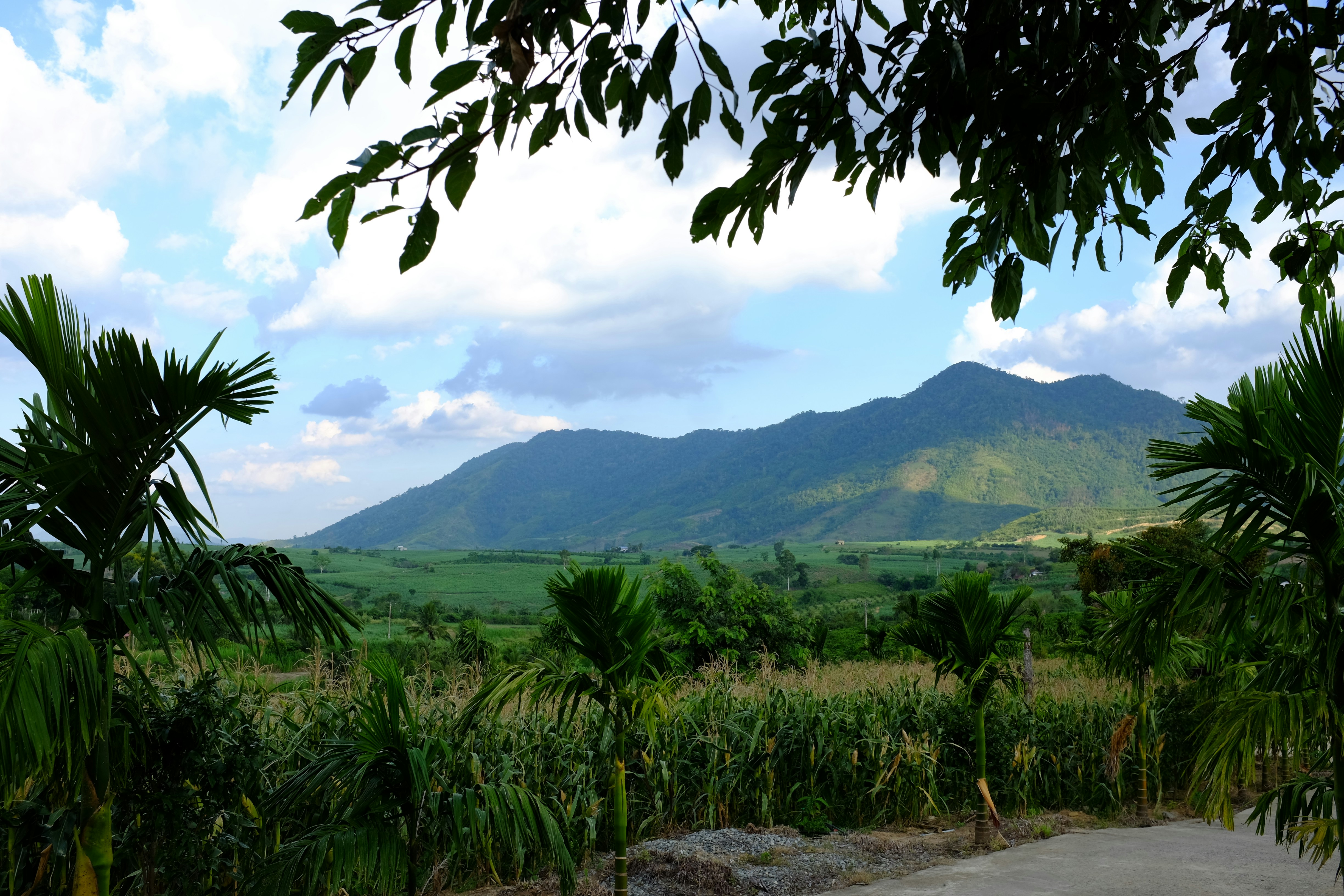 Verdant Valley Under a Cloud-Cilled Sky