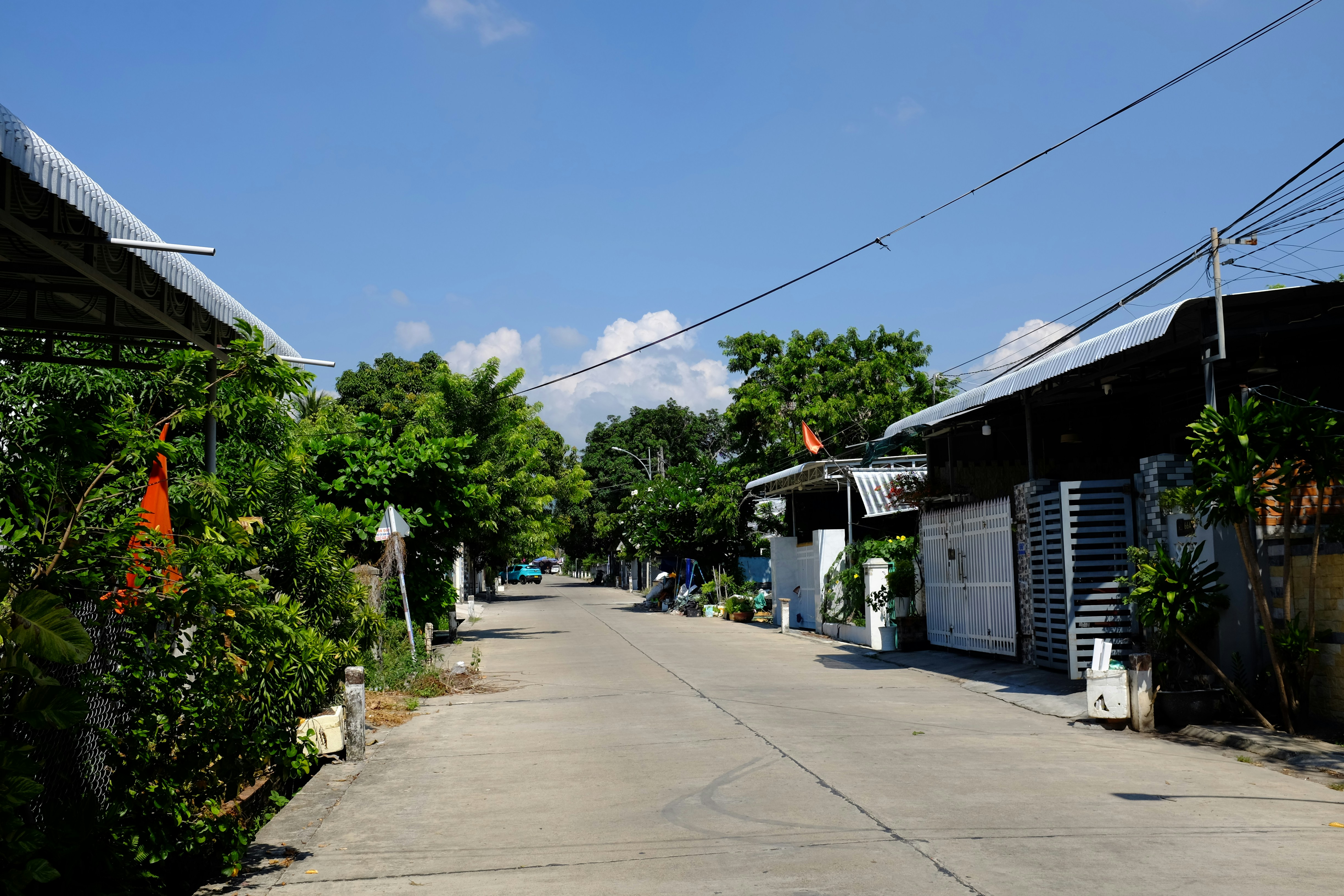 Quiet Lane: A Sunlit Street Between Greenery and Shops