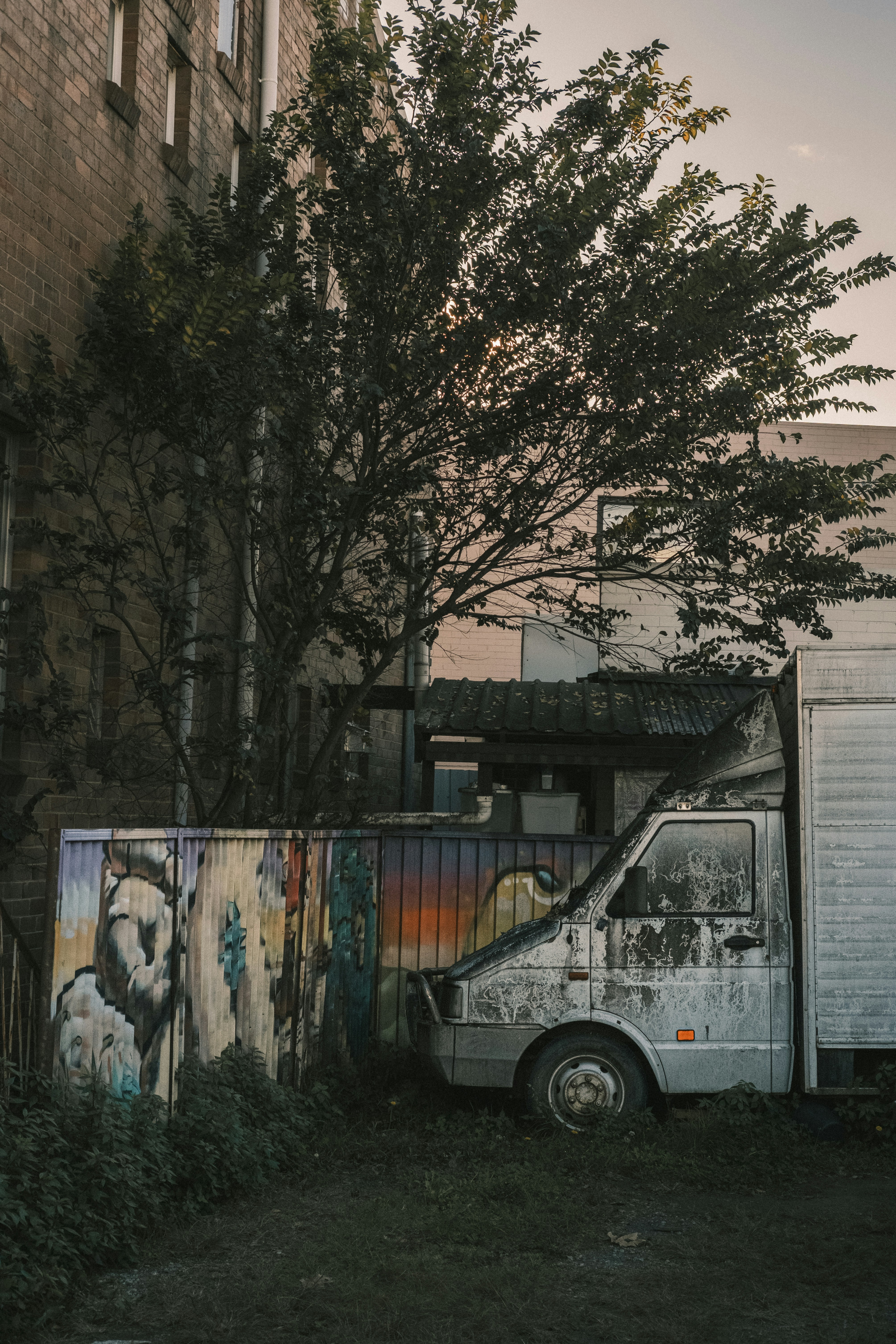 Graffiti Gate and Van in a Quiet Yard