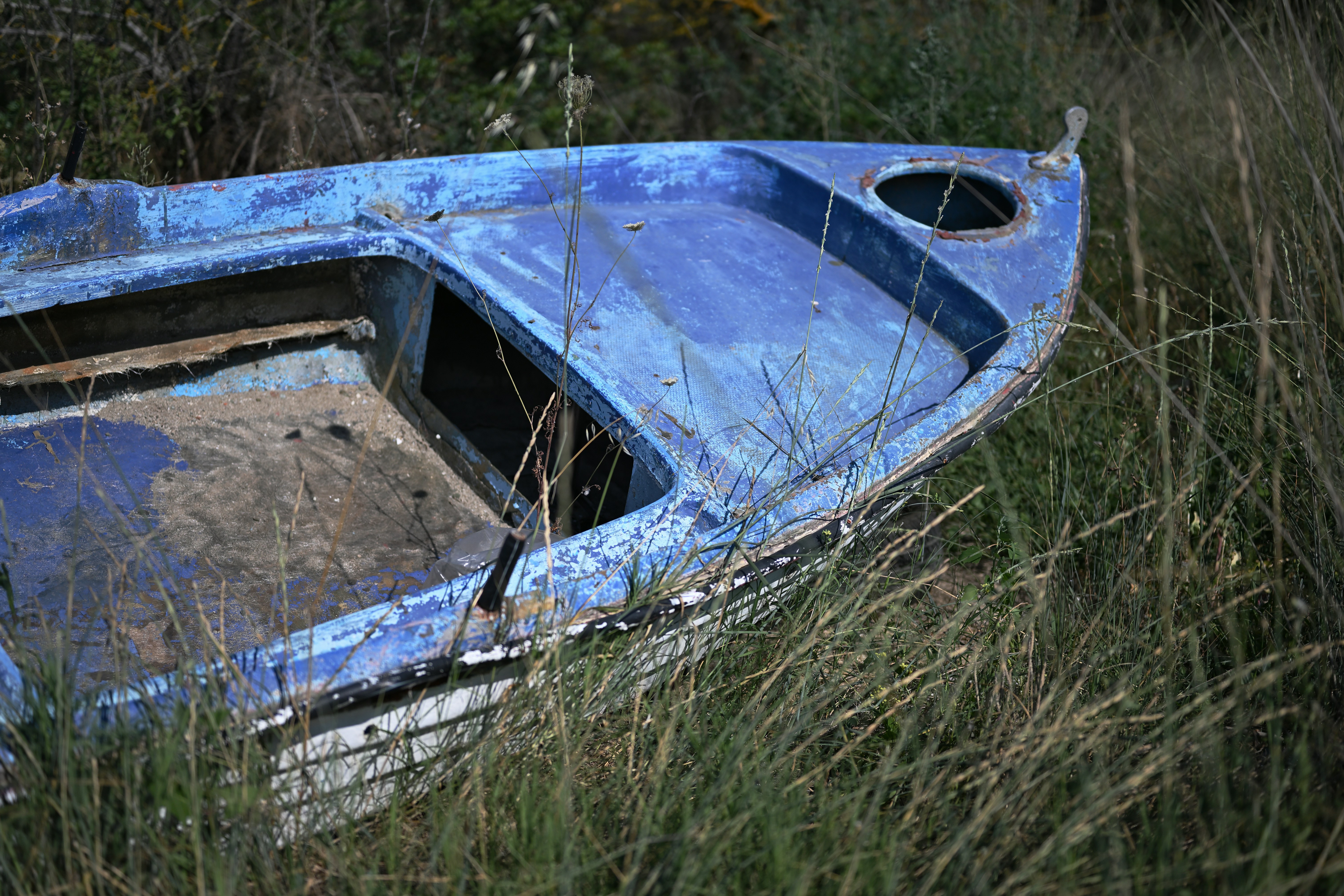Weathered blue boat resting in tall grass with an open hatch and weathered surface. A photographic study of abandonment and texture in a natural setting.