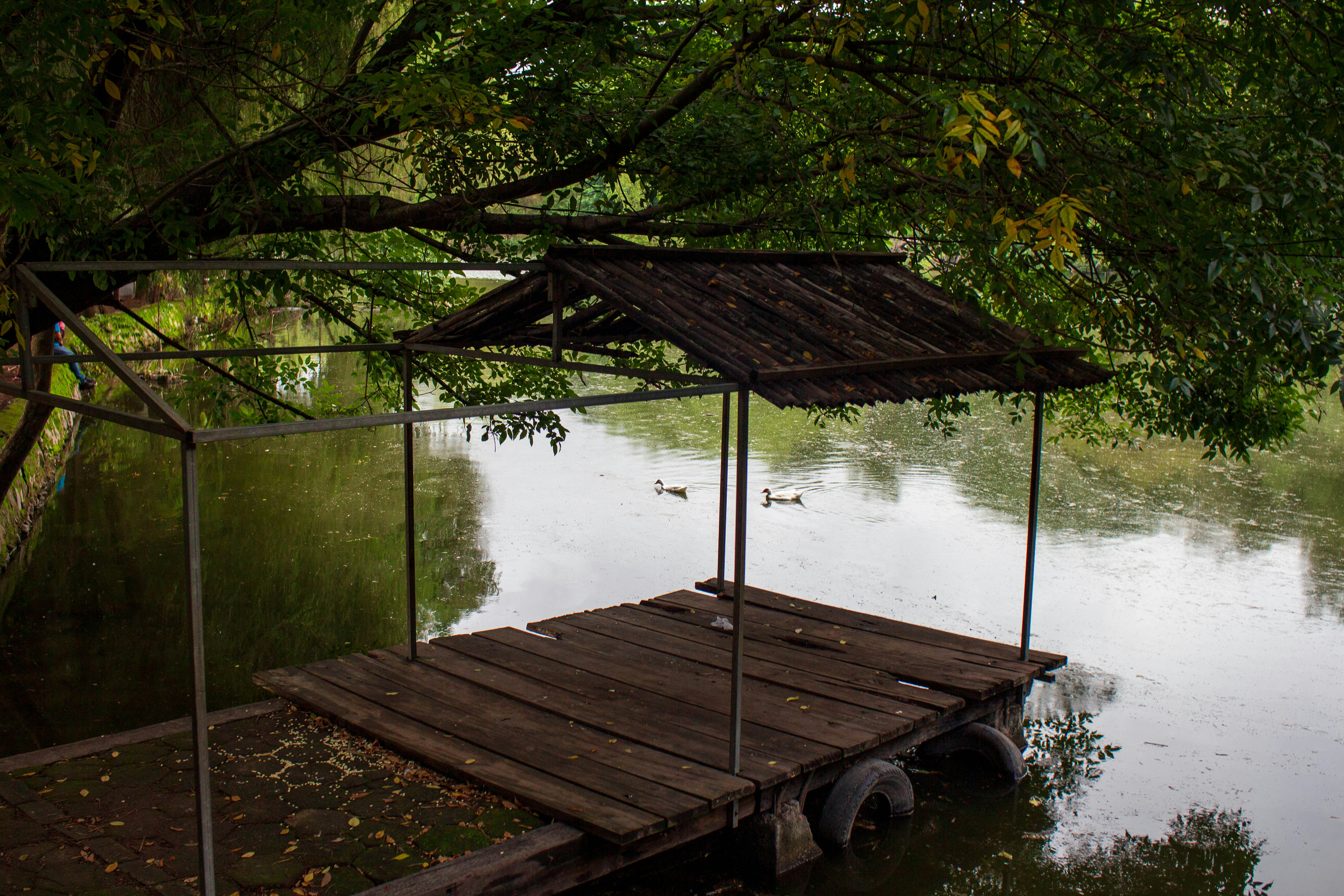 Weathered wooden dock extending over calm river water with a simple metal canopy and leafy branches overhead.