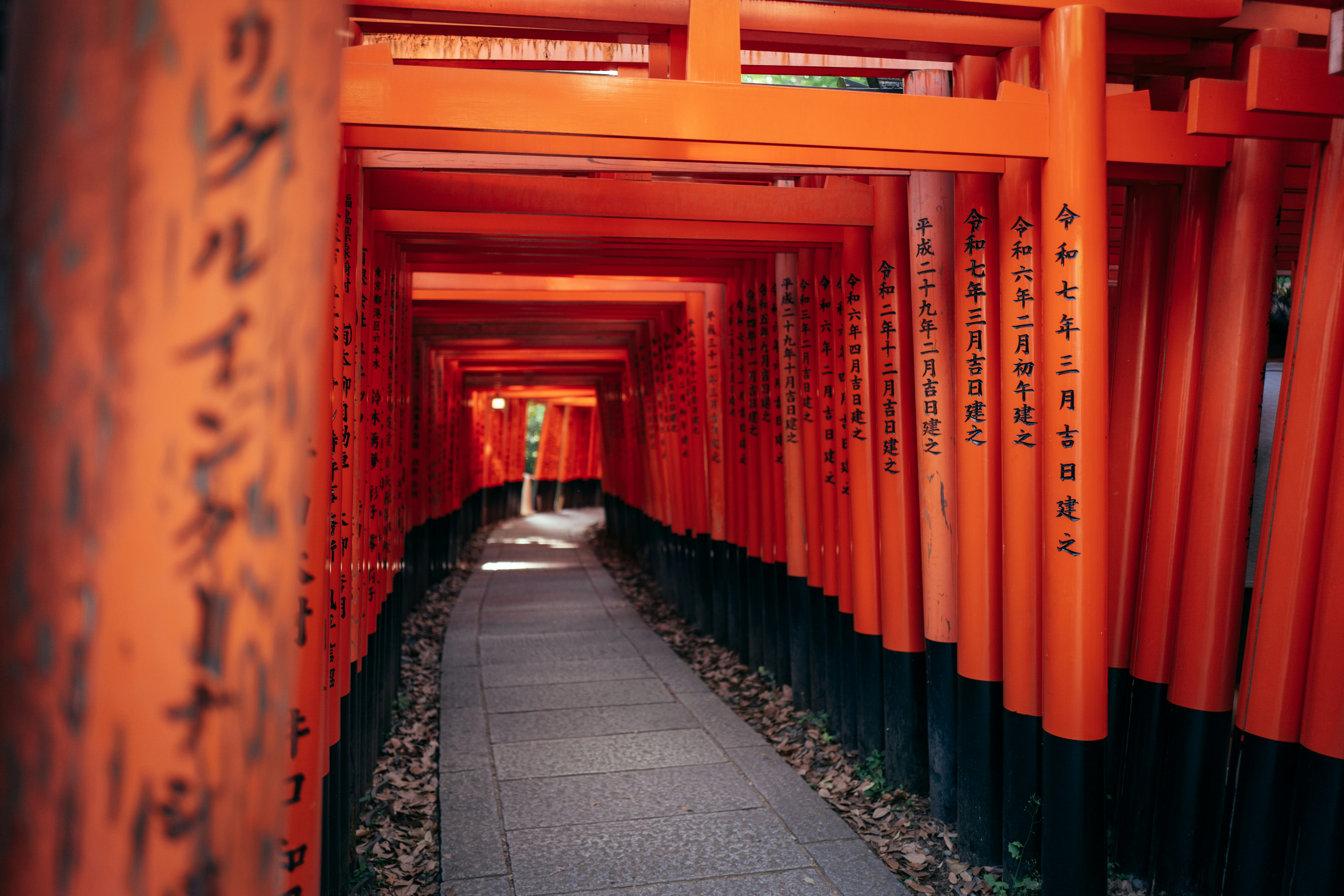 Tunnel of Vermilion: A Corridor of Repeated Gates Toward Light