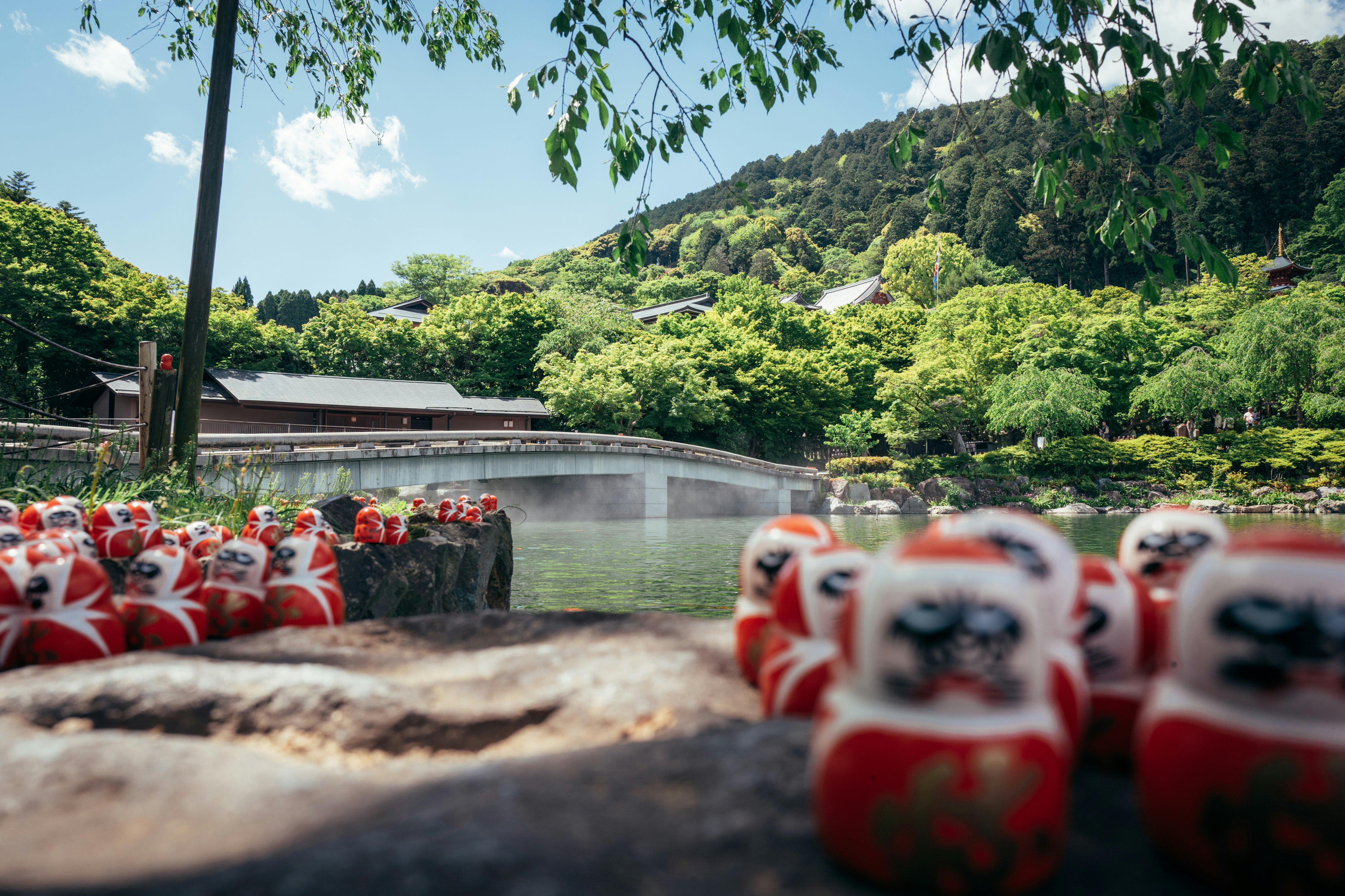 Koi Wall at Distant Lake: A Row of Daruma Faces Framing Temple Grounds