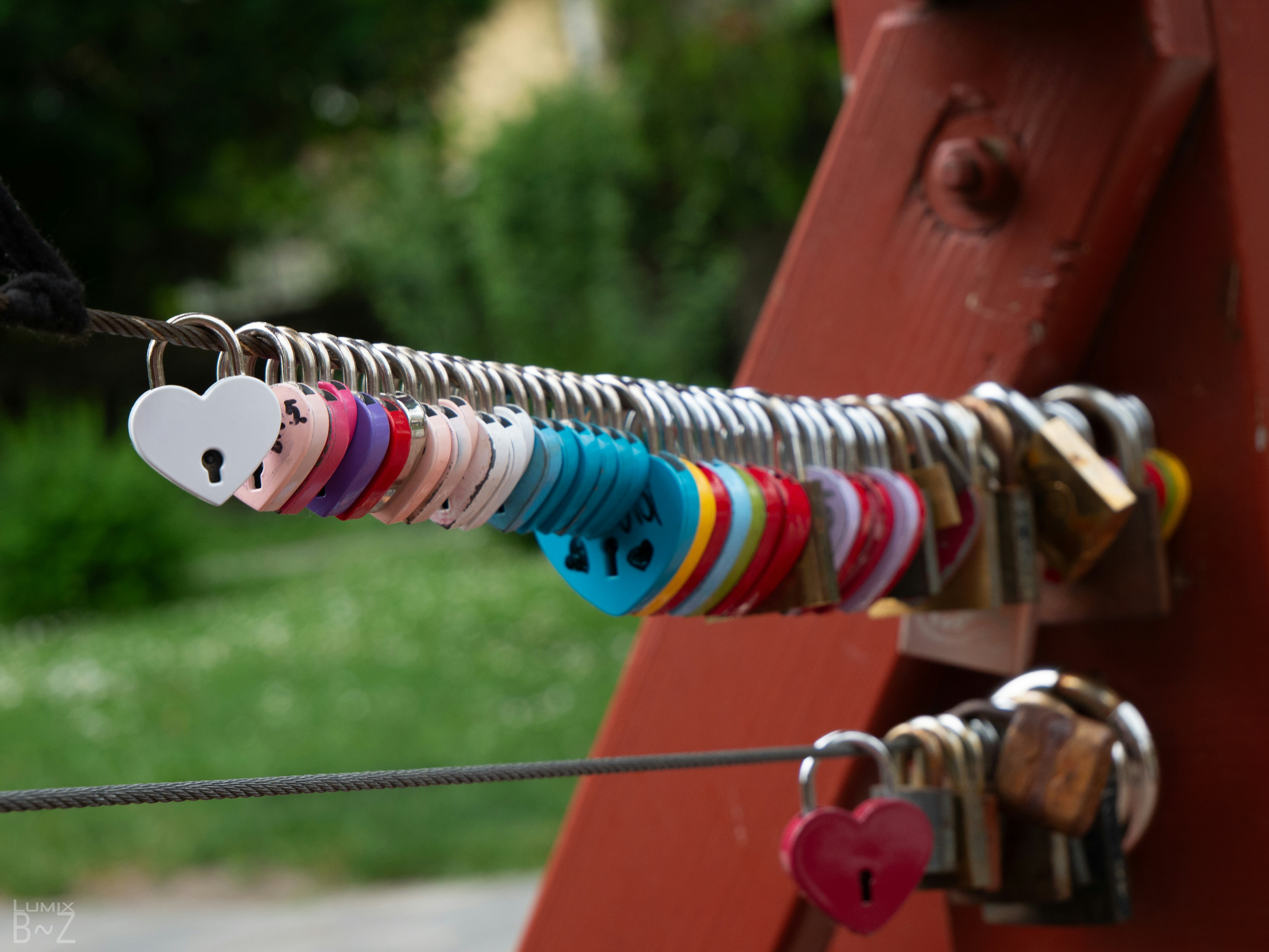 Locks of Trust: A Row of Love Locks on a Cable