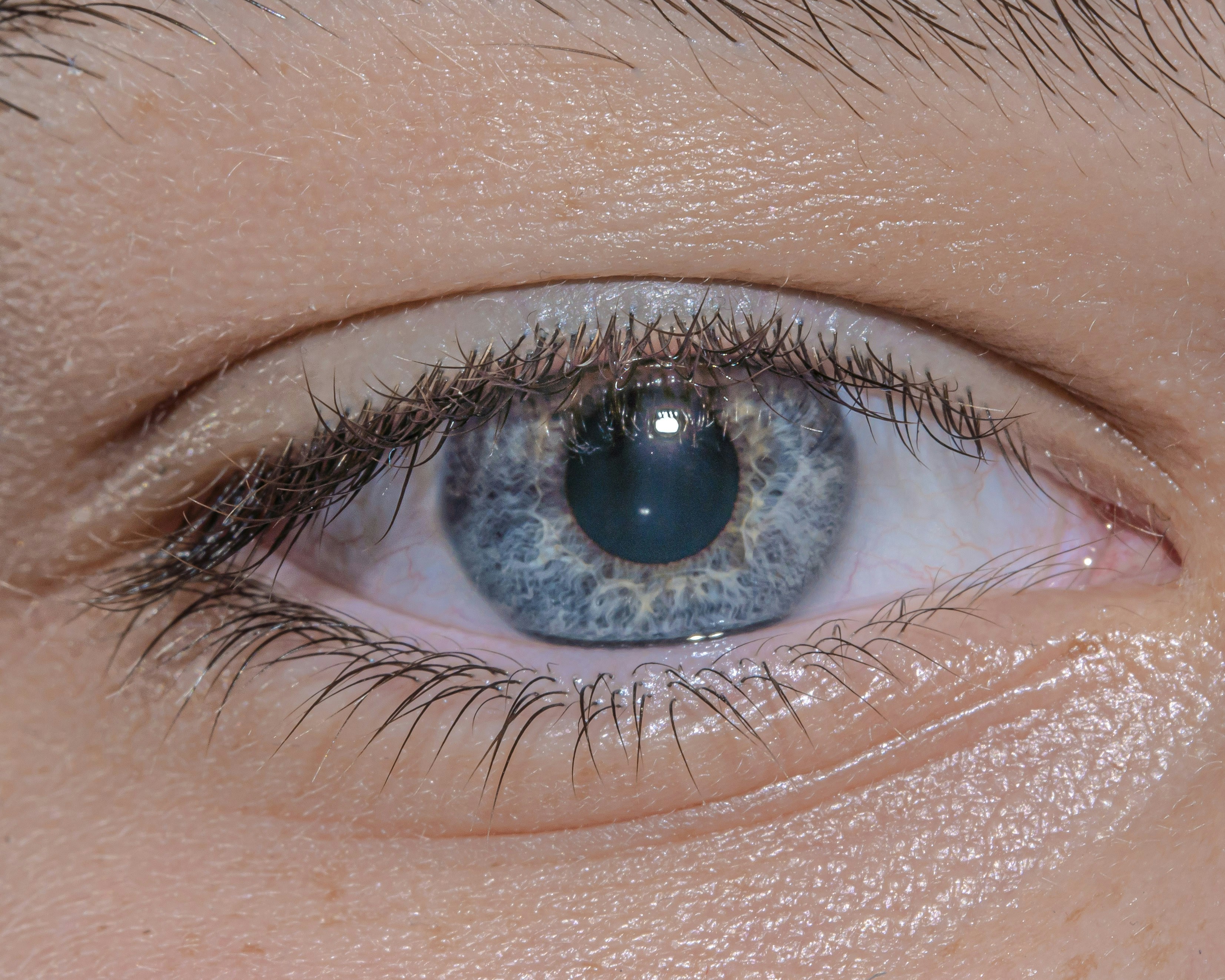 Close-up of a vigilant blue eye with delicate lashes