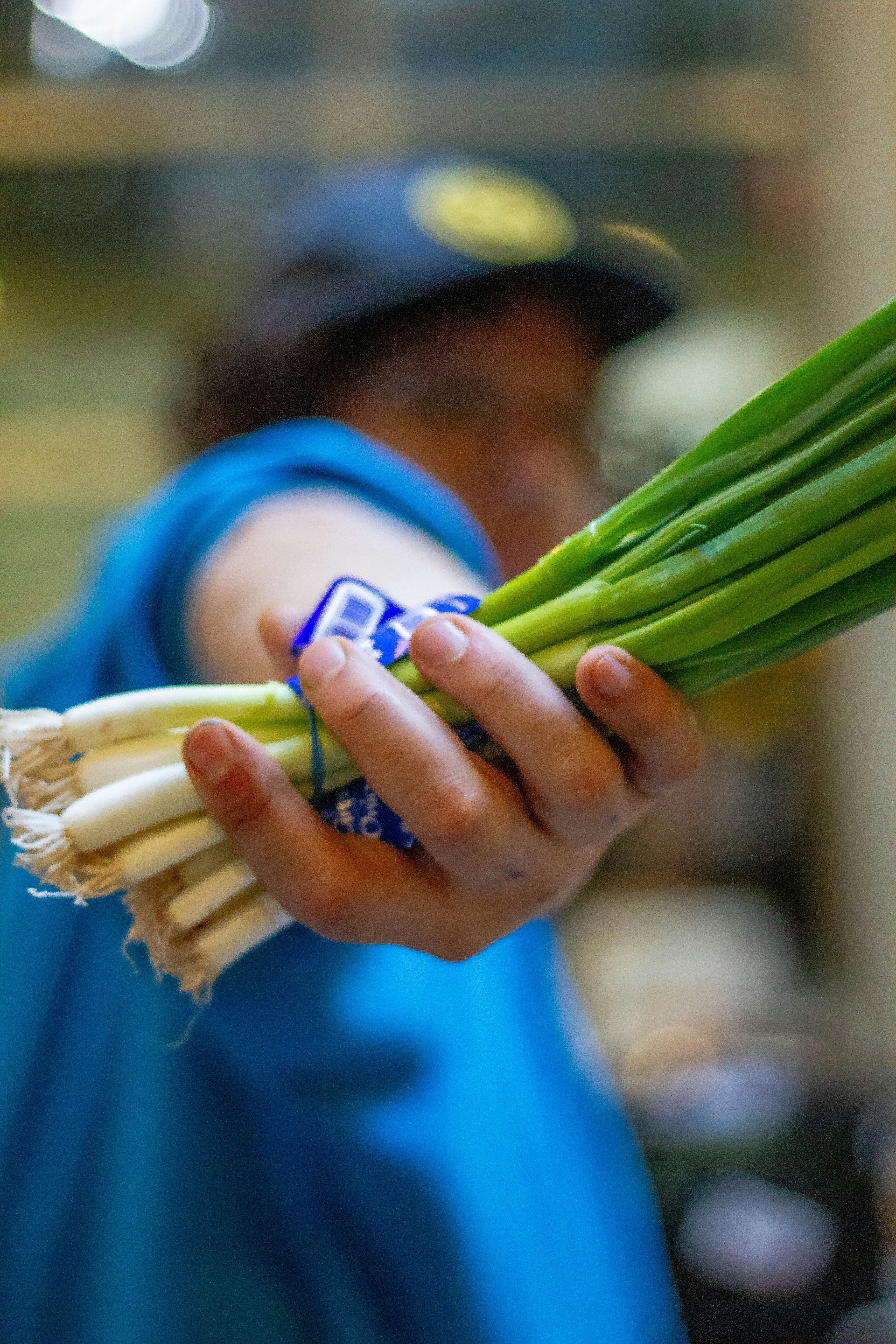 Outstretched Freshness: A Bouquet of Leeks in Focus