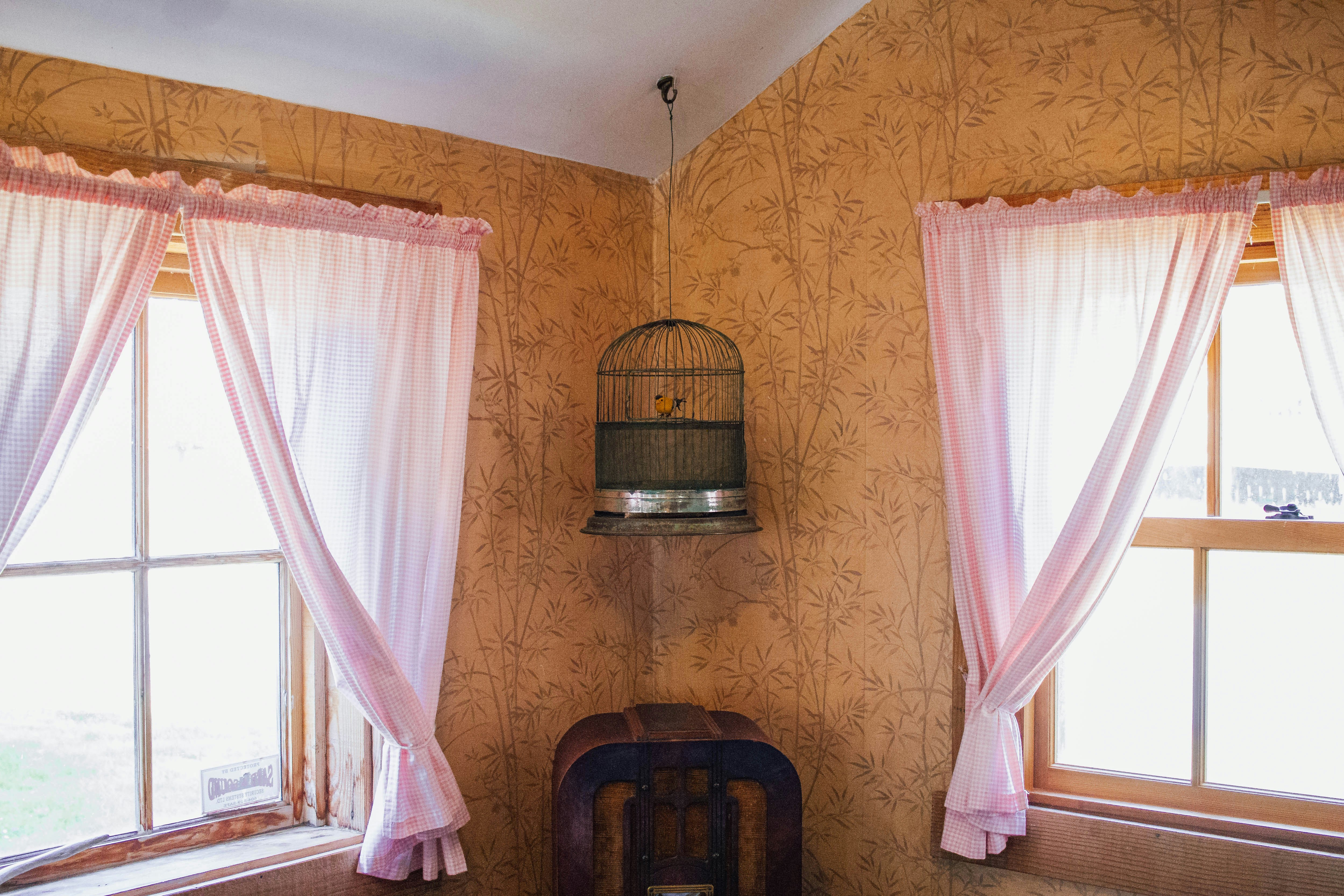Pastel Light in a Quiet Corner