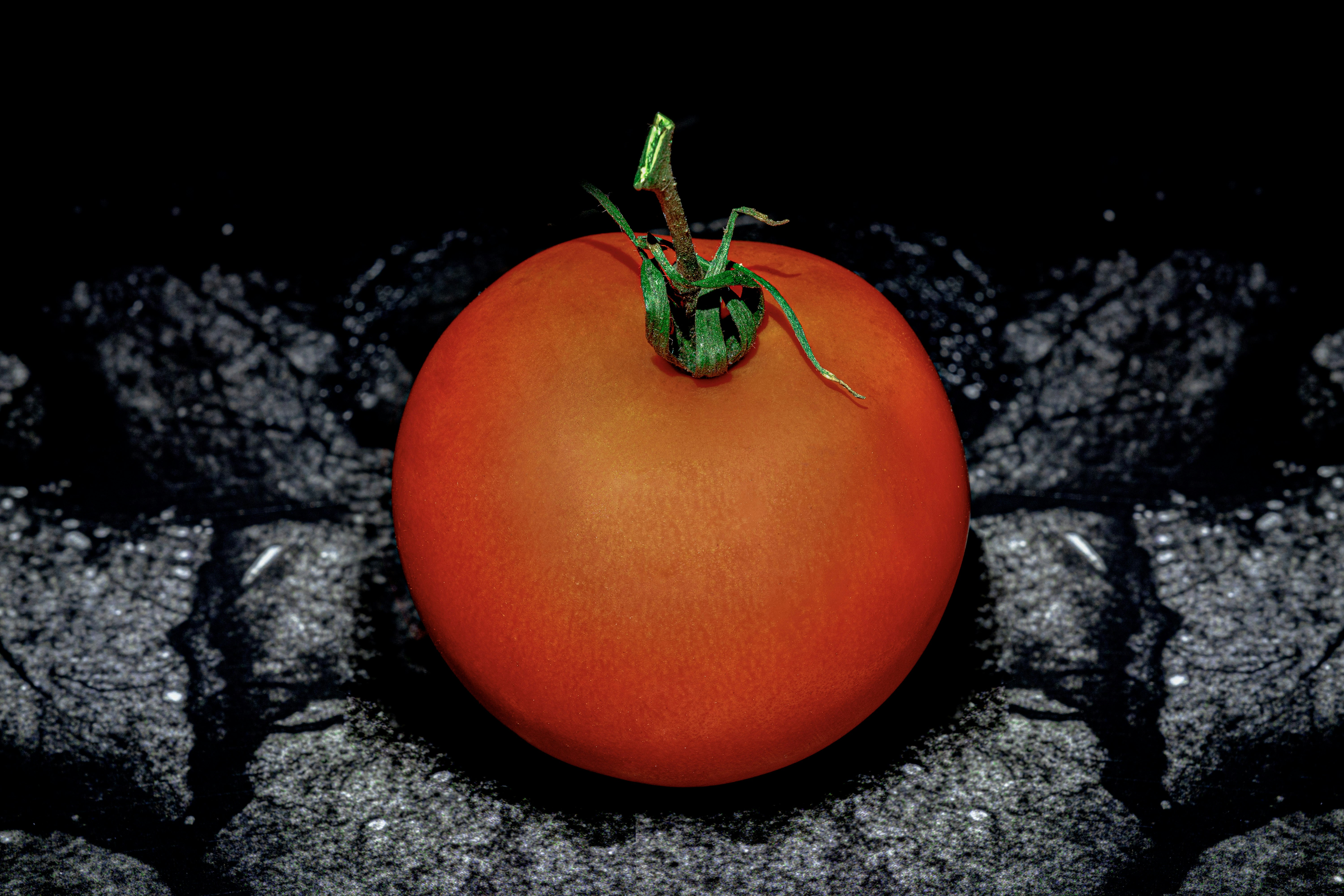 Crimson Globe: A Lone Tomato on Charred Ground