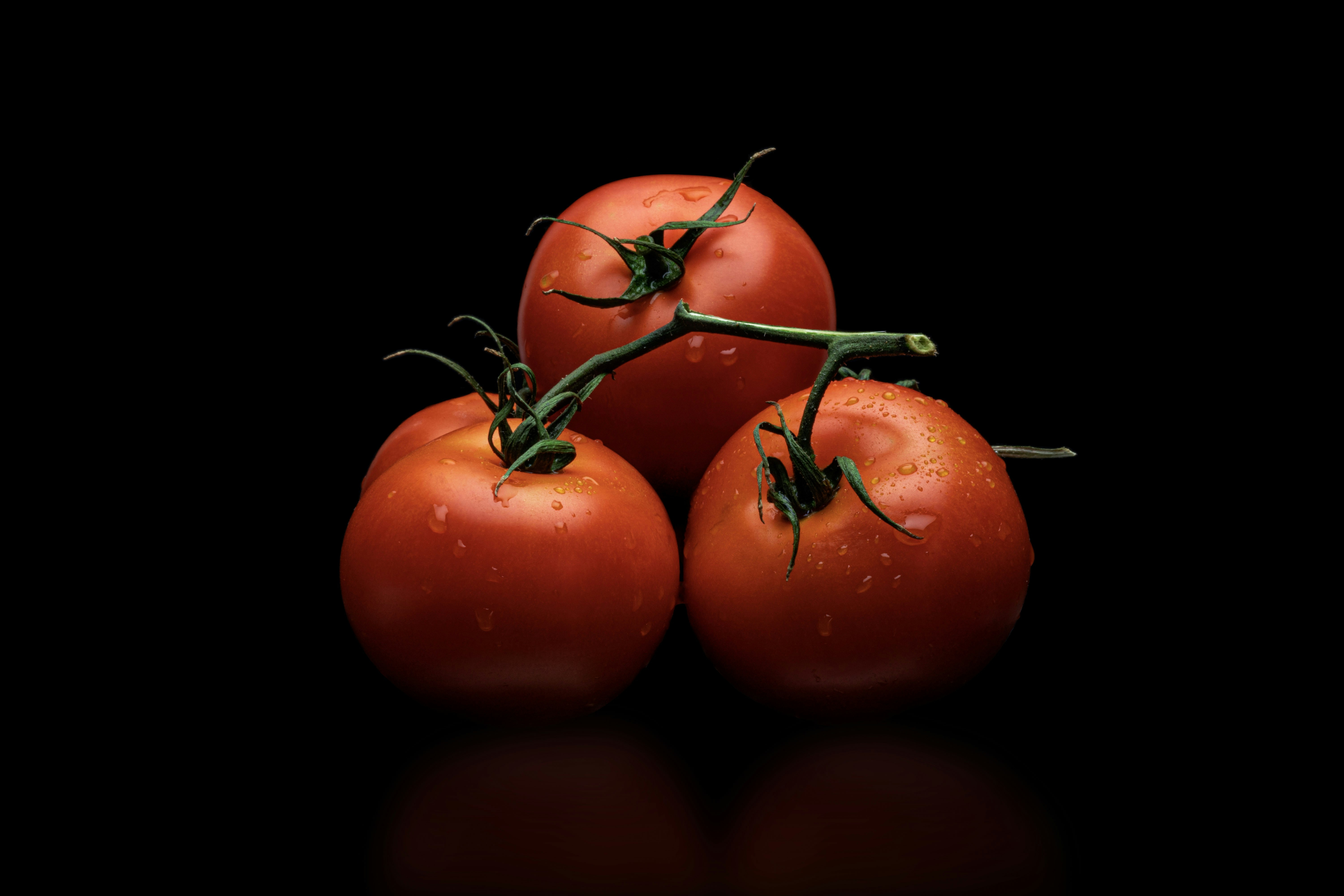 Three Sun-Kissed Tomatoes on a Velvet Black Stage