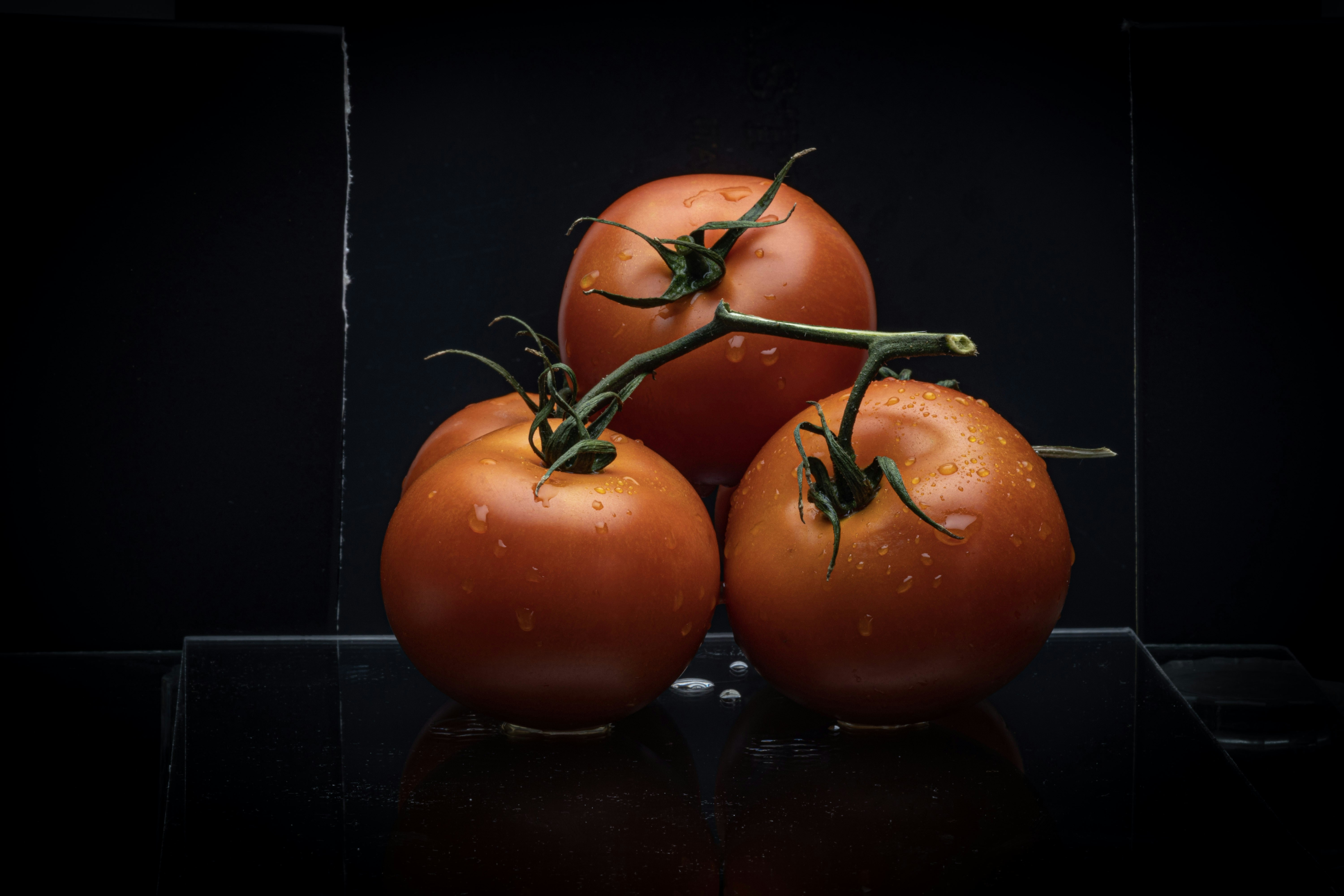 Three Tomatoes on a Stem: Velvet Reds in a Dark Stage