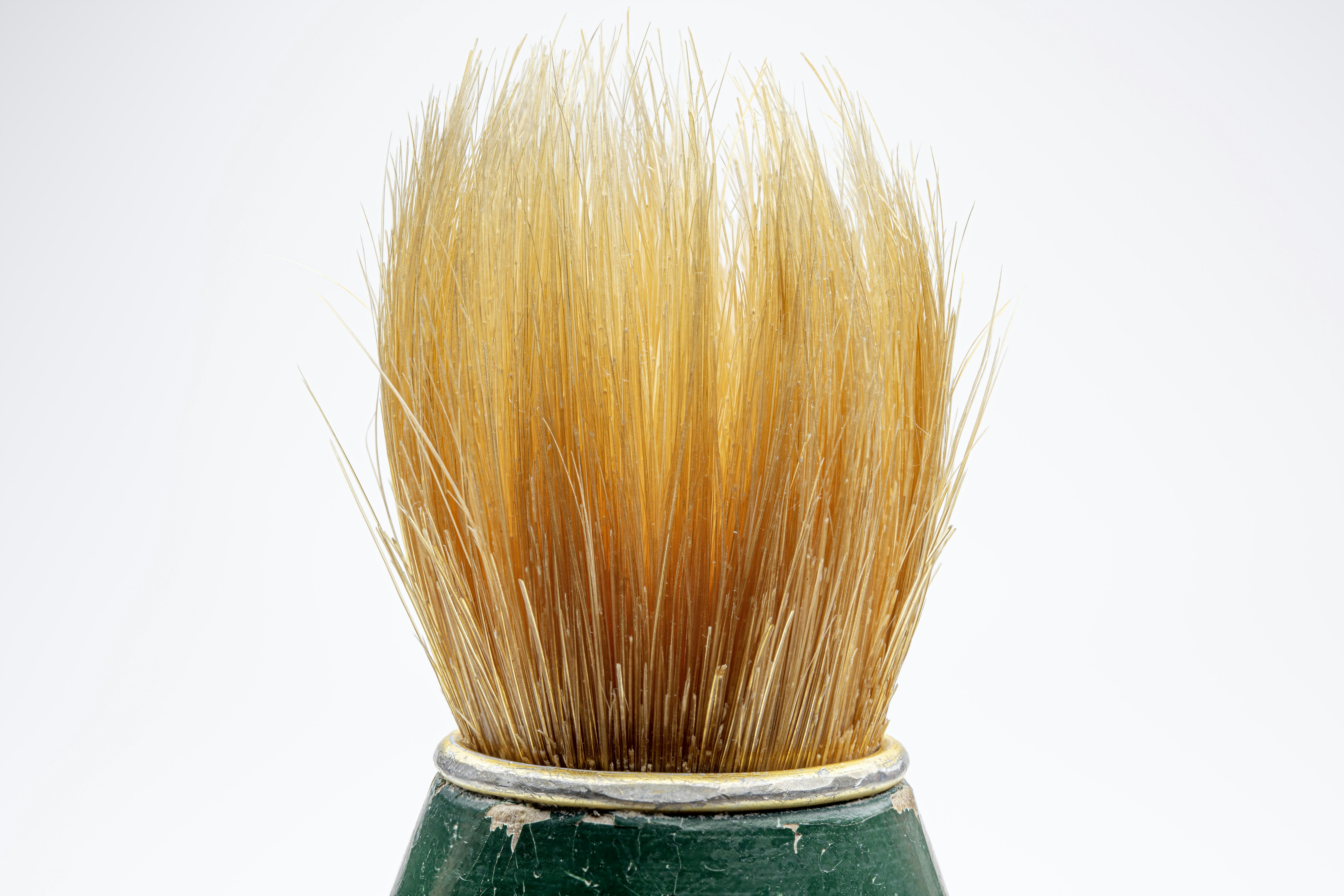 The Brush Quill: A Close-Up of a Golden Bristle Stand